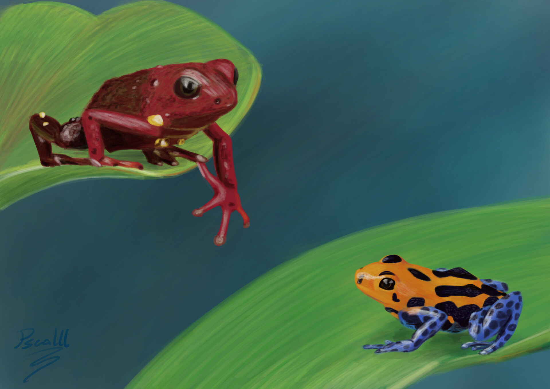 ArtStation - Ribbit