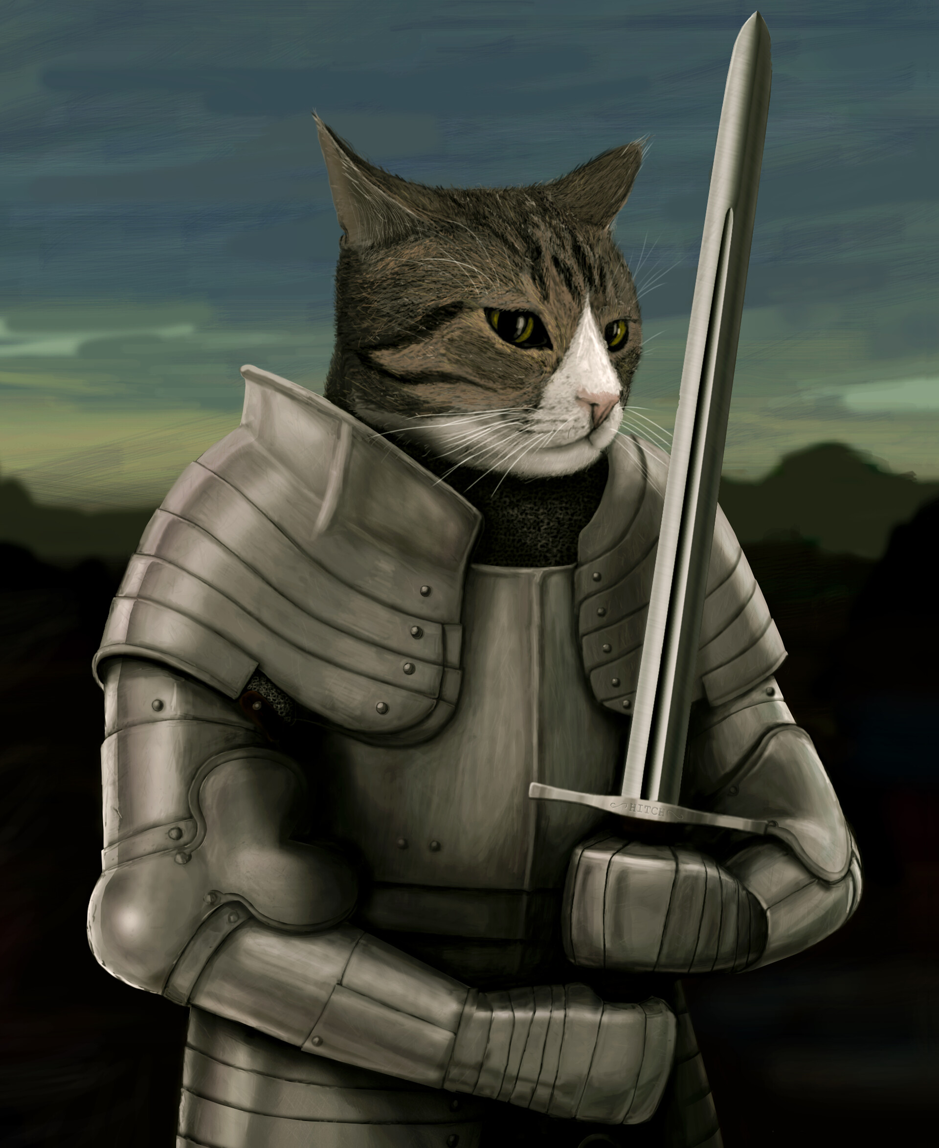 Rii Projects - Medieval Cat