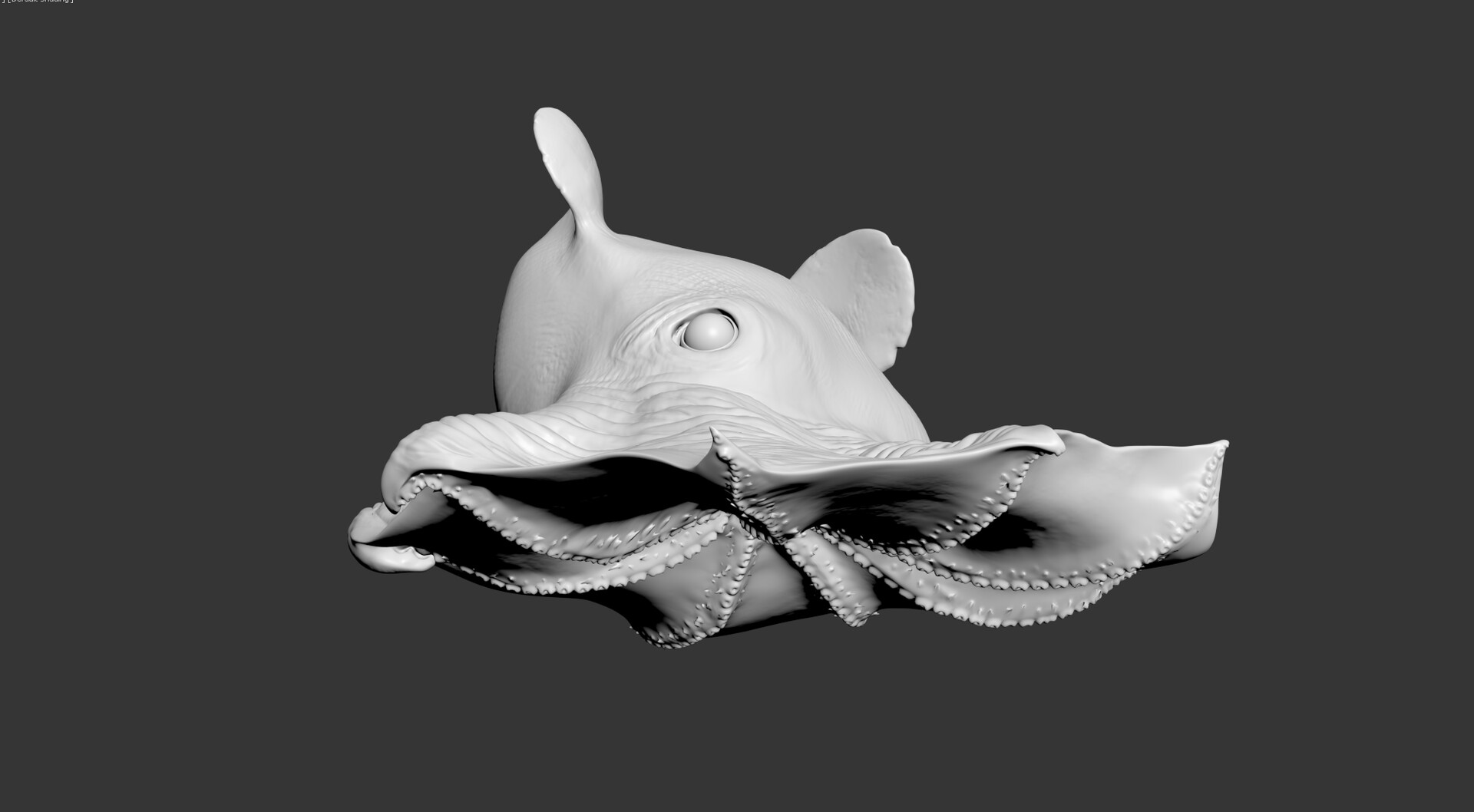 Svitlana Lynne - Dumbo Octopus