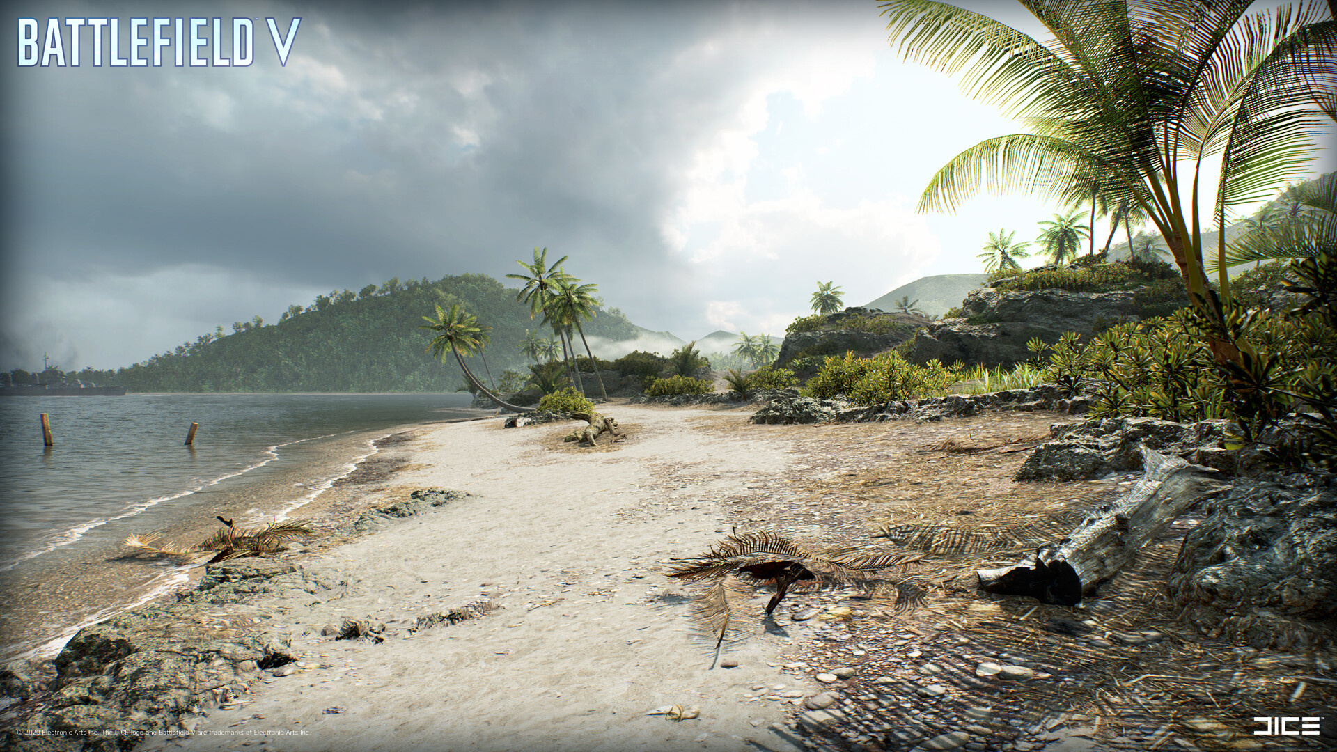 Johan Jeansson - Battlefield V - Solomon Islands