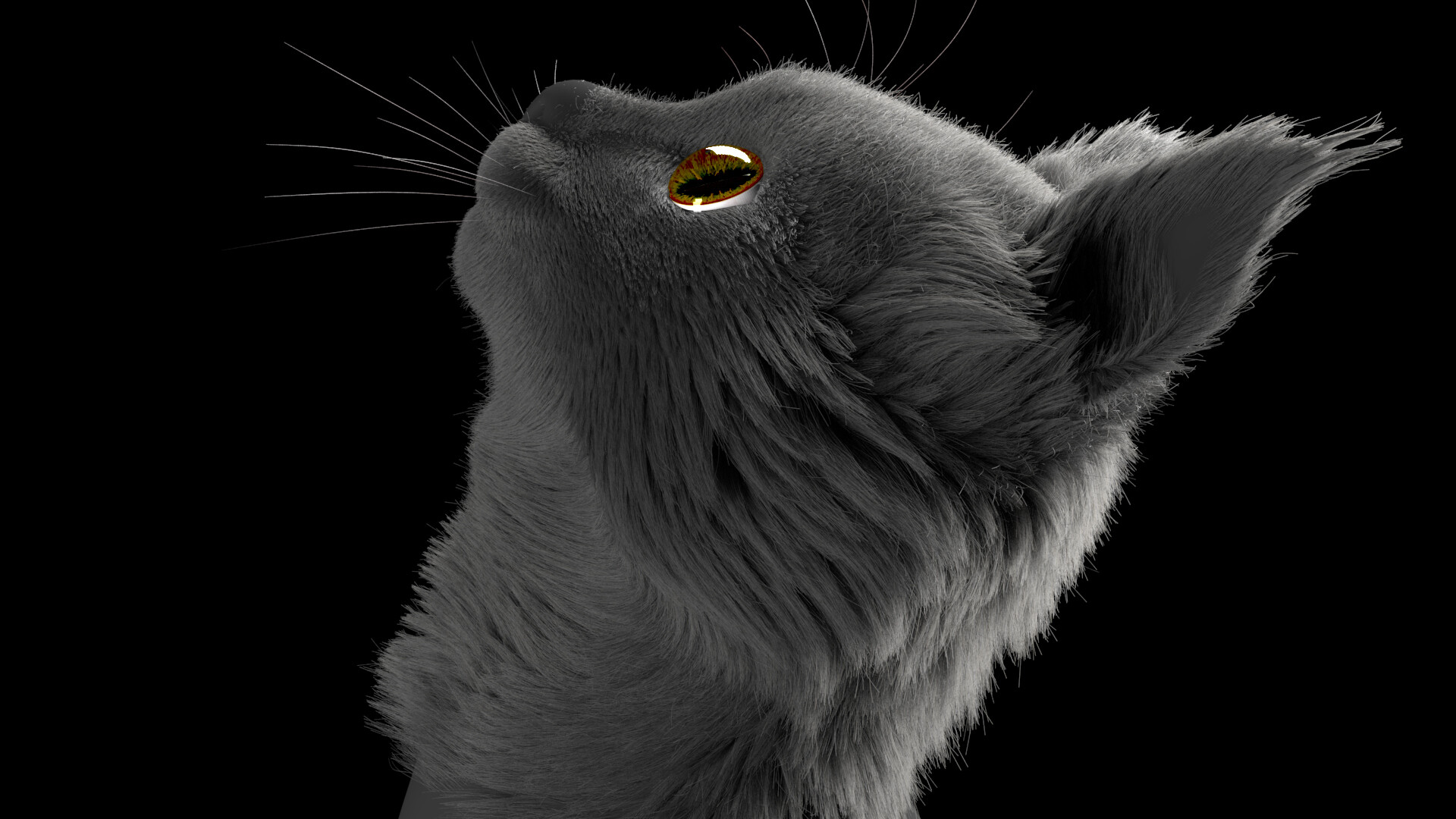 ArtStation - Cat Macro