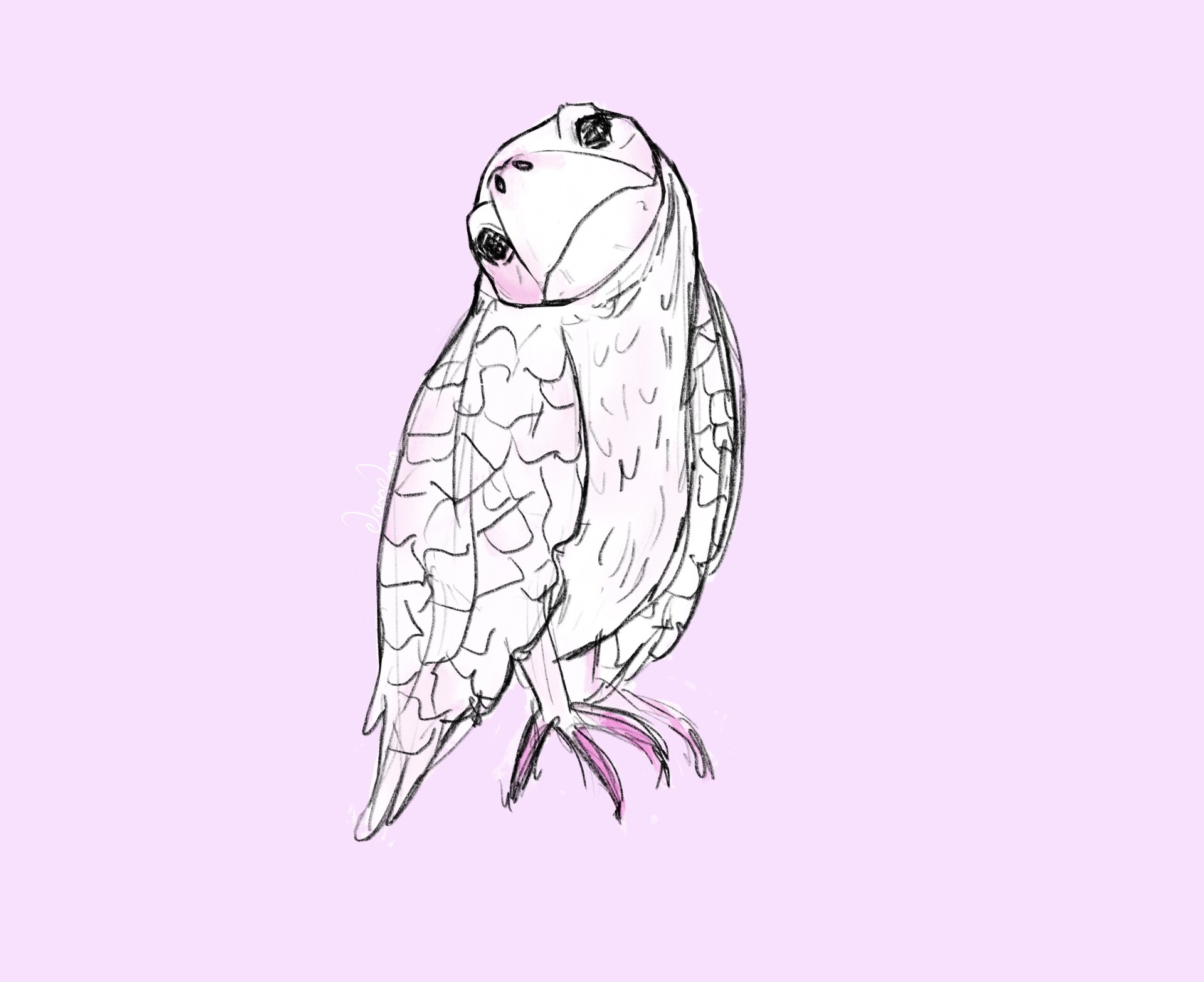 ArtStation - Turtowl?