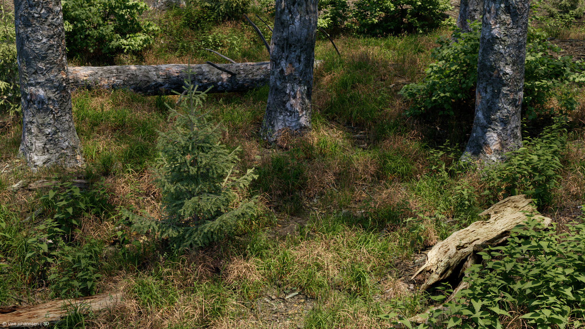 ArtStation - simple forest scene