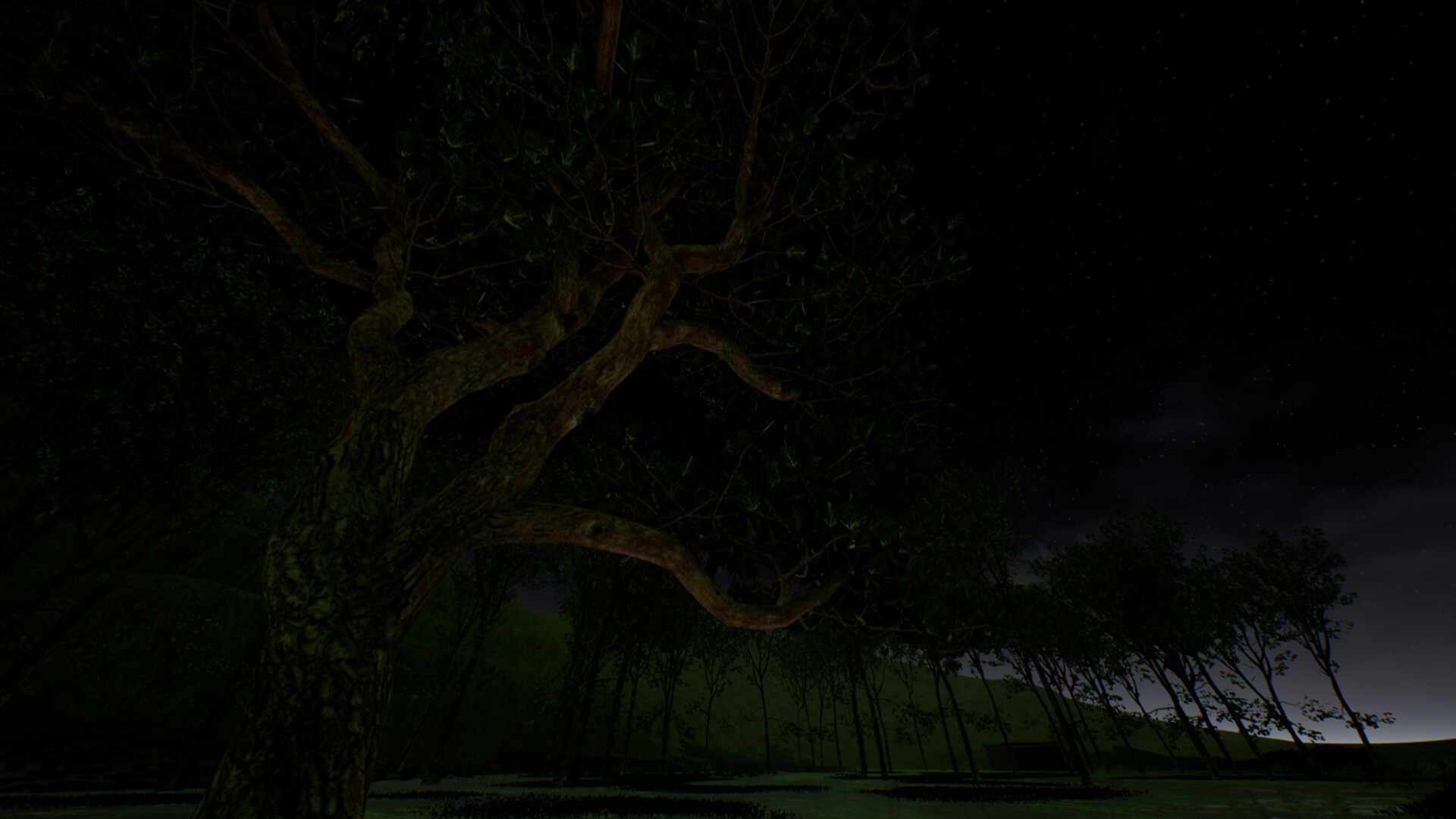 ArtStation - Night Time in Swamp in "Green Veld"