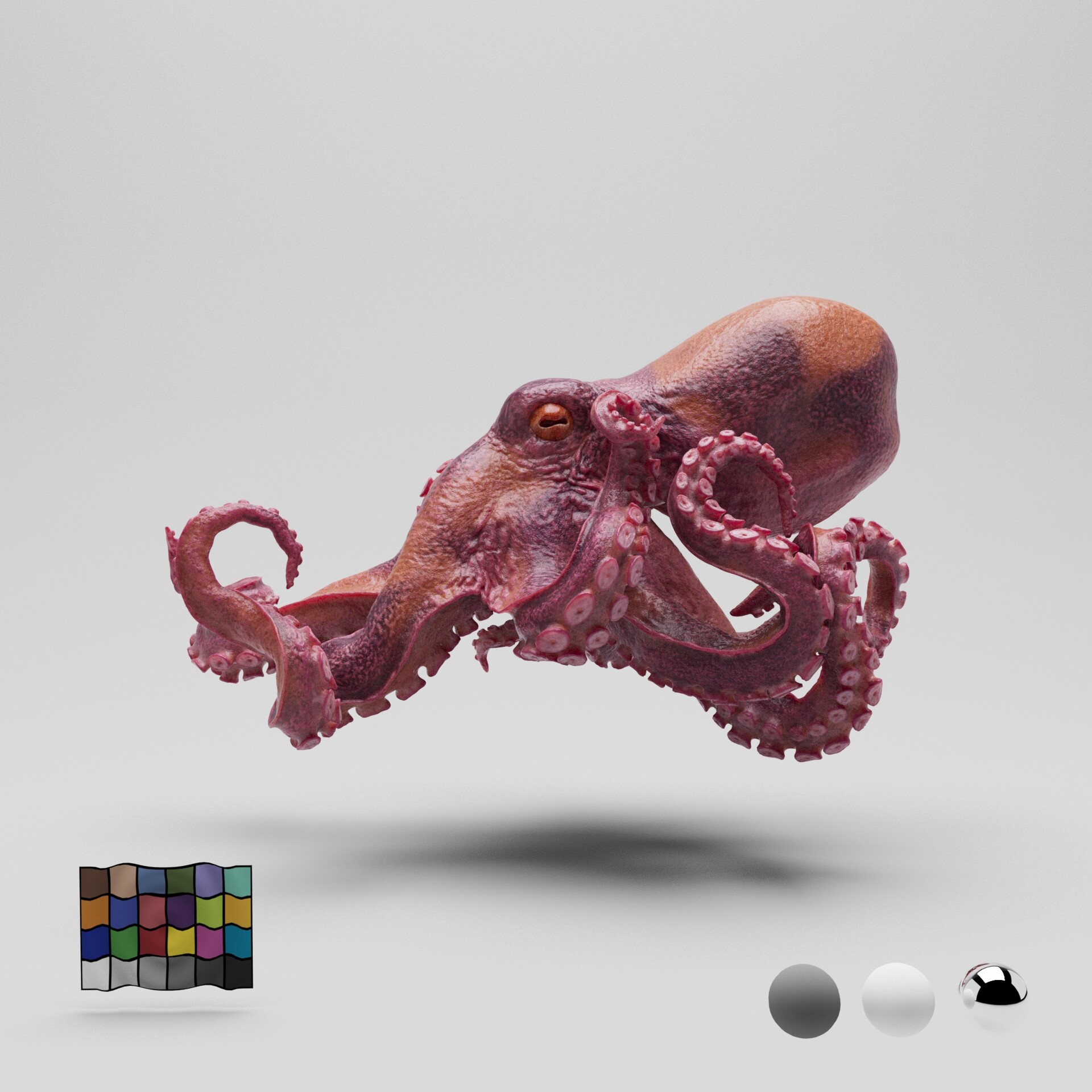 ArtStation - Octopus
