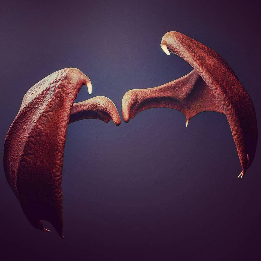 ArtStation - Dragon wings