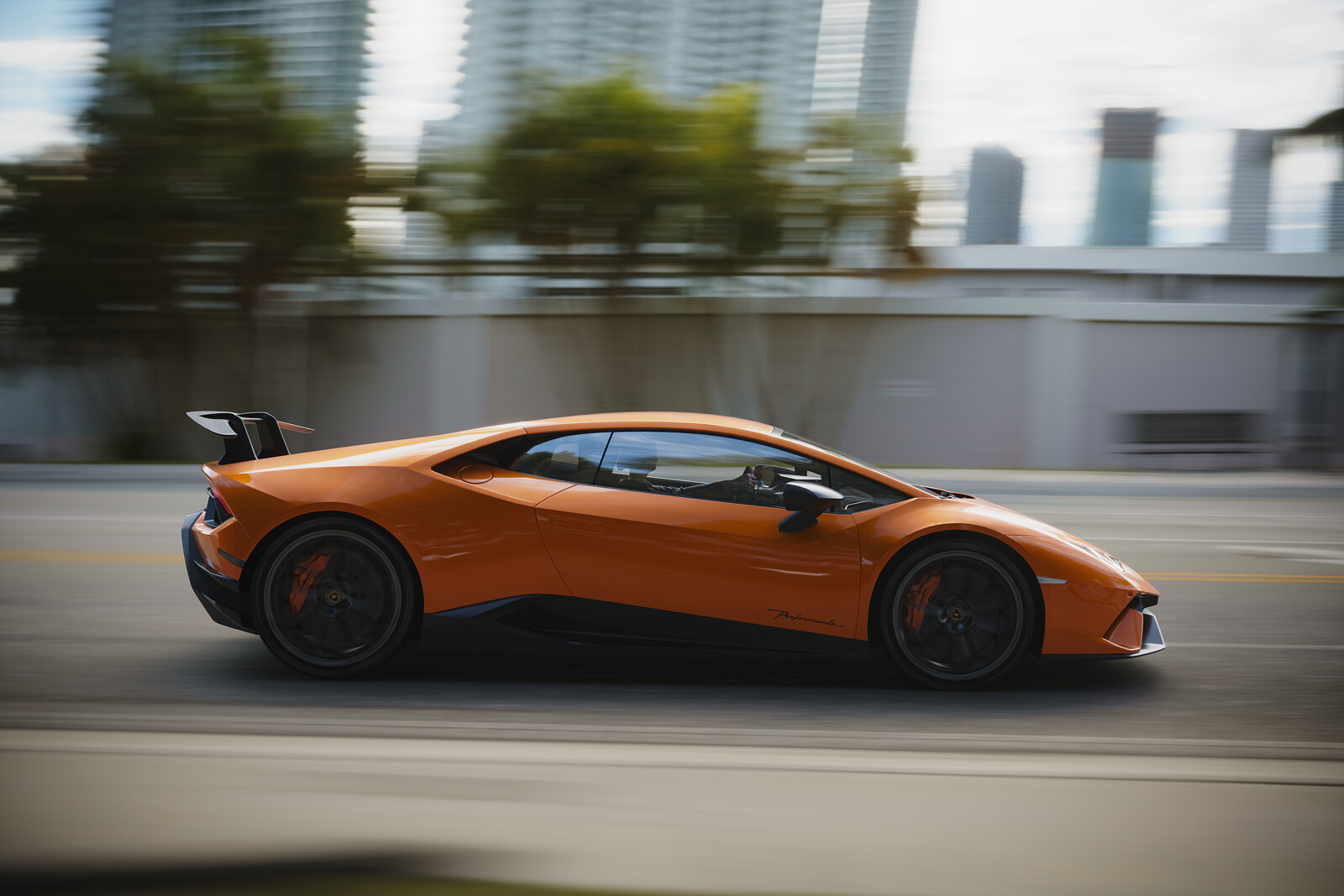 Martin Dimitrov - - FOCUS