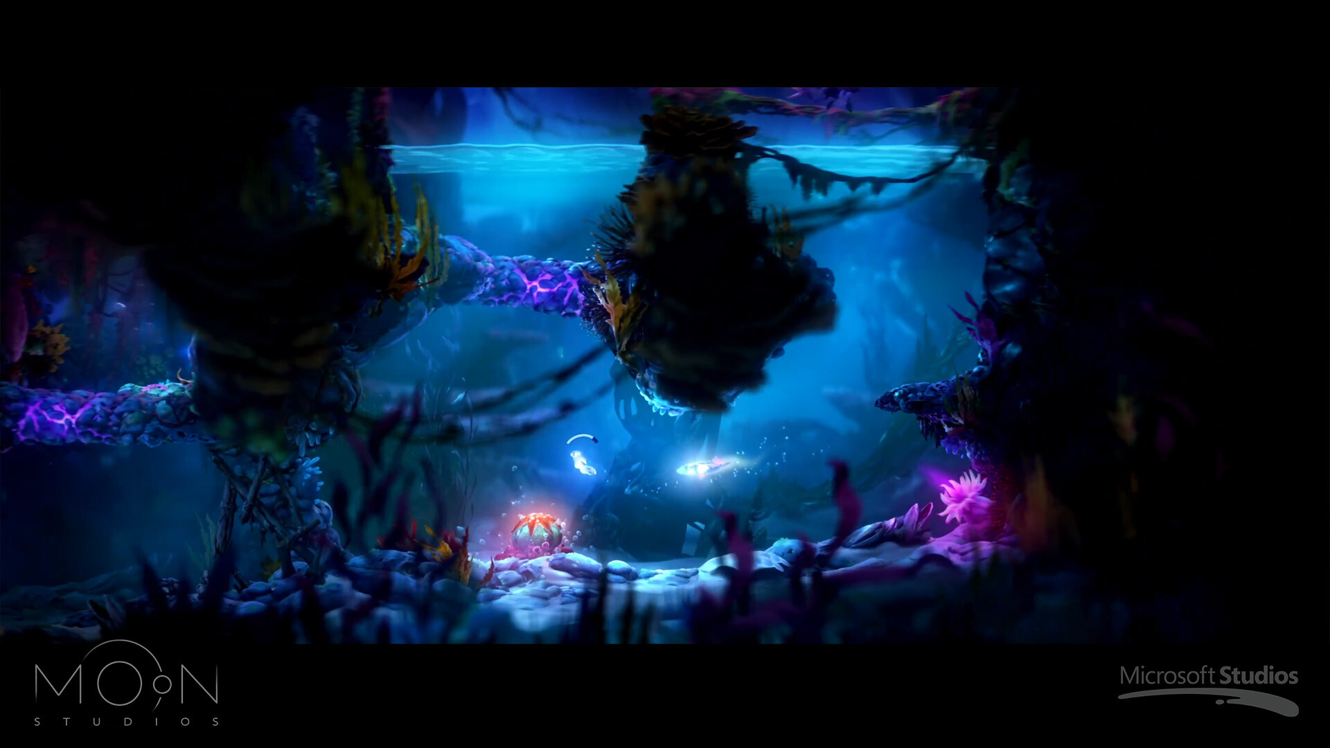 Oleg leshiy Shekhovtsov - Ori and the Will of the Wisps - Luma Pools