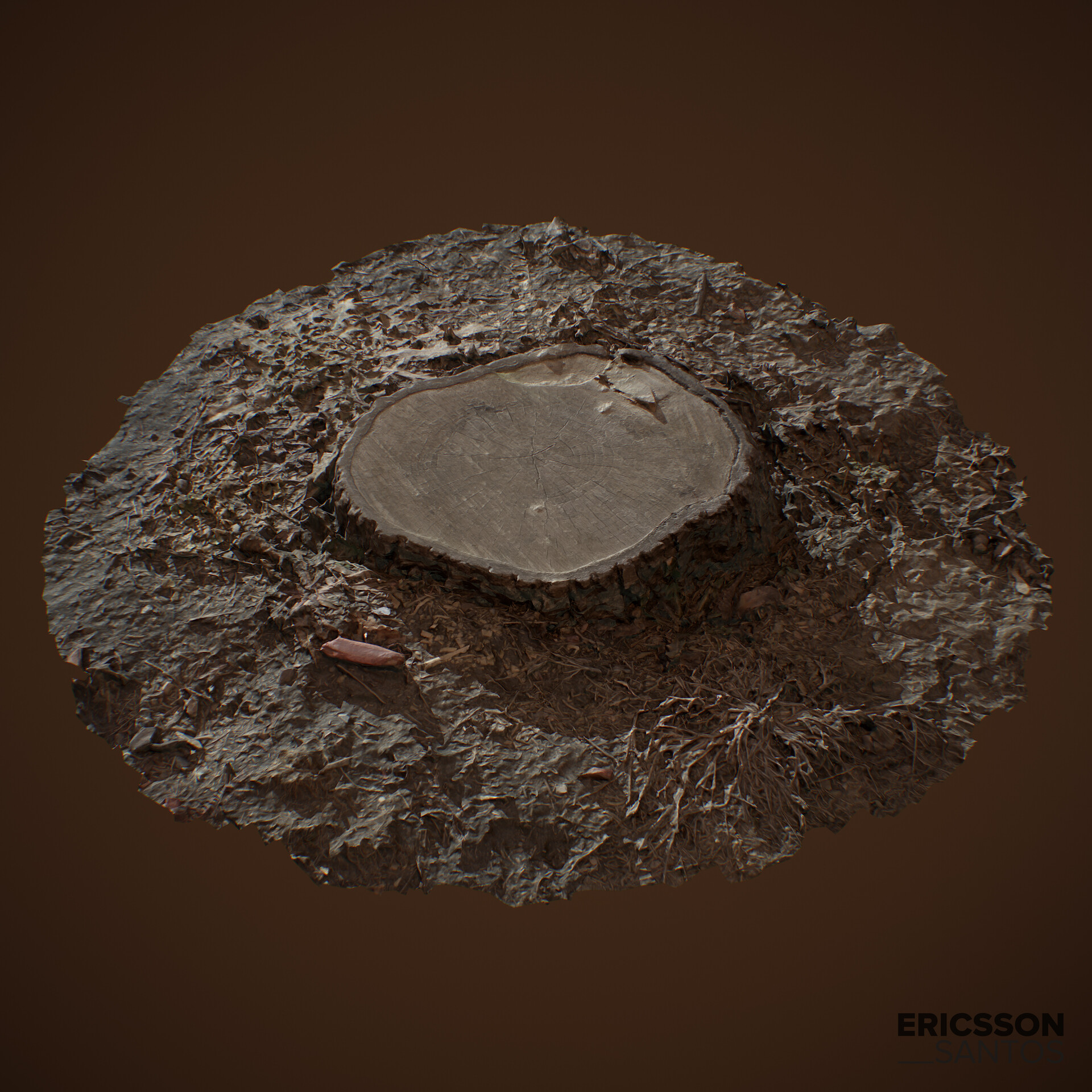 Ericsson Santos - Tree Stump