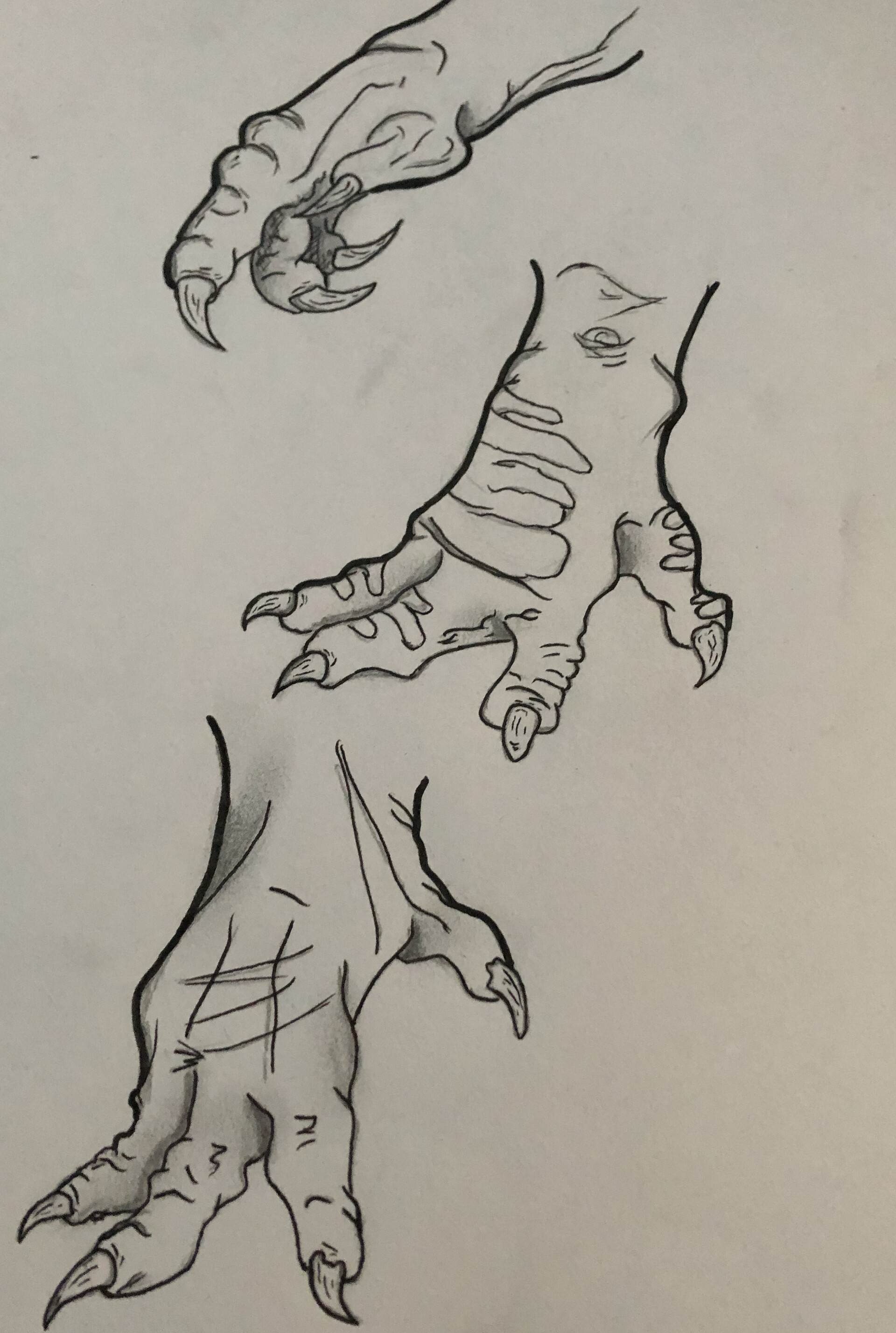 how to draw a dragon foot