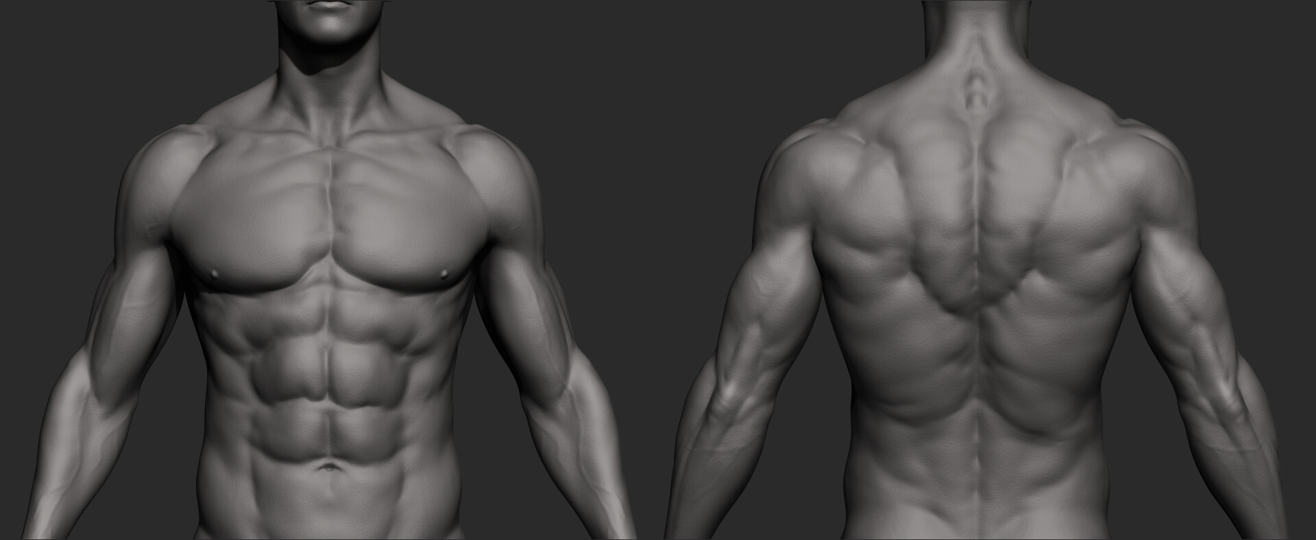 ArtStation - Anatomy study