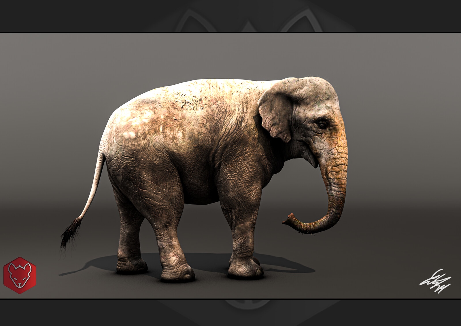 Ivan Iofrida - Asian Elephant render