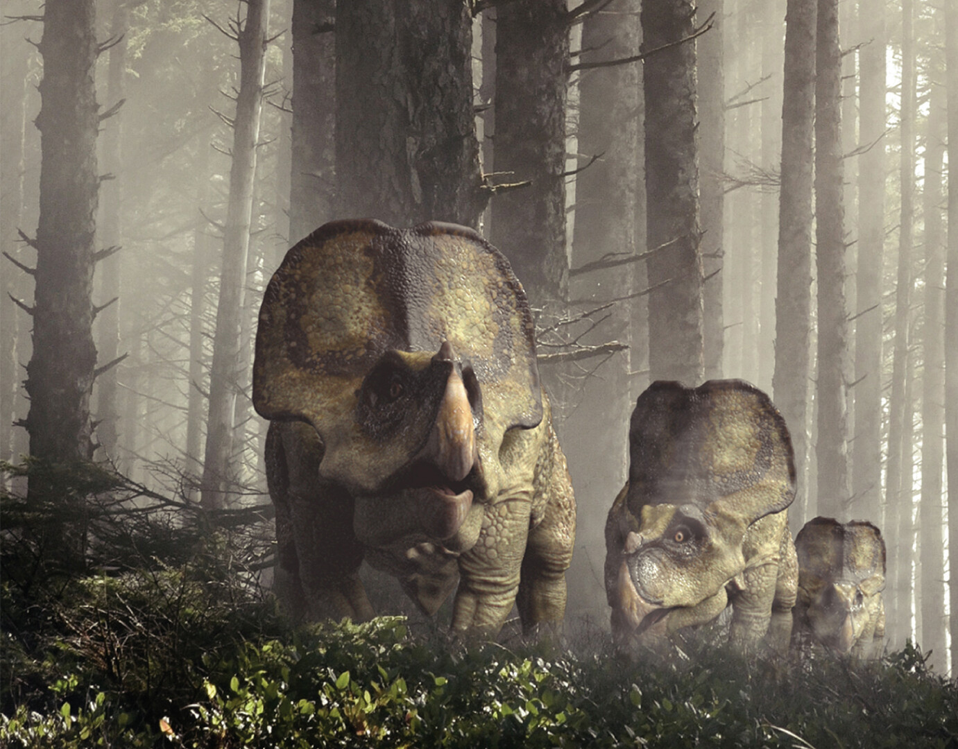 ArtStation - Protoceratops 3D (Rigged)