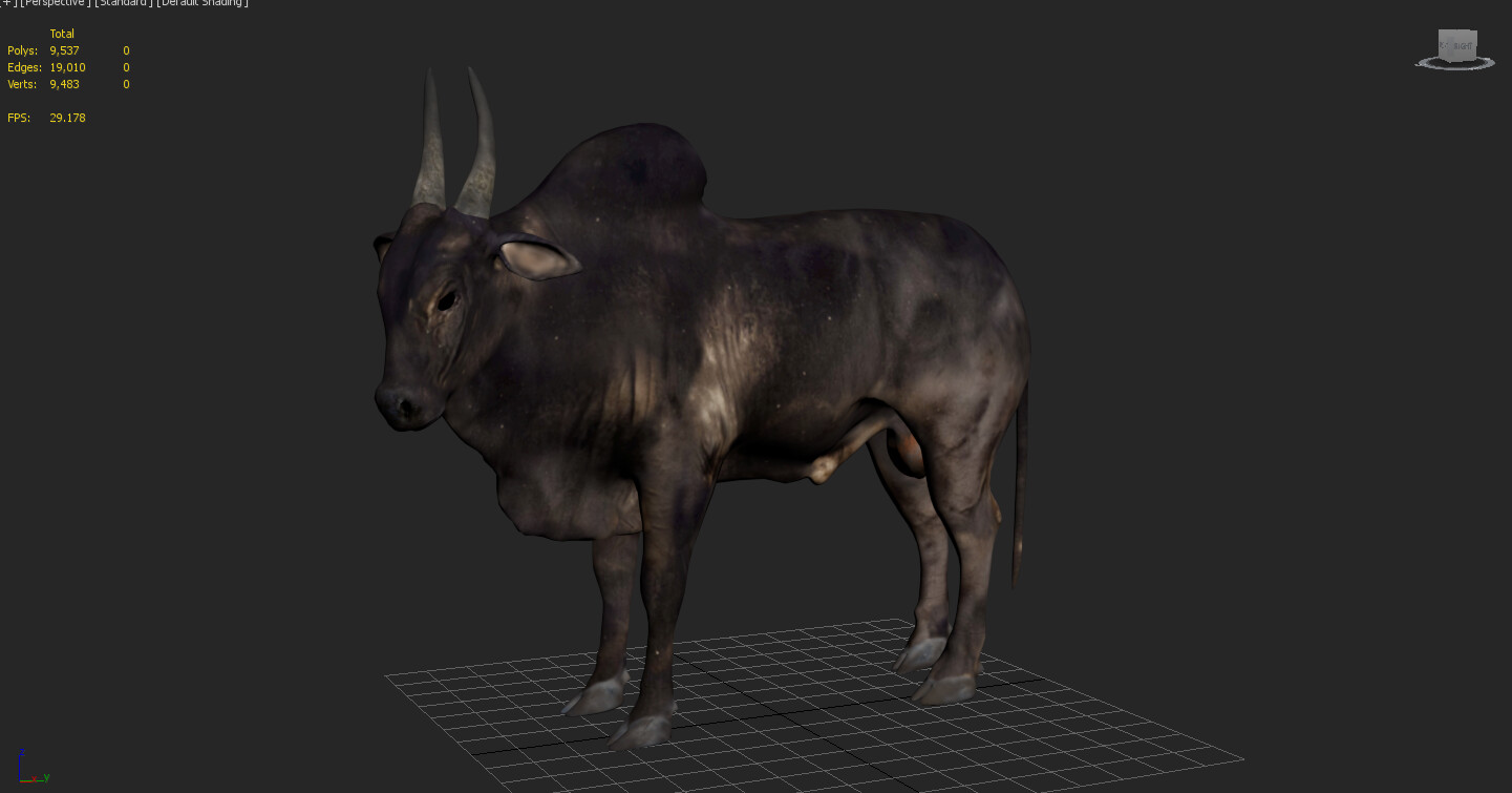 Kangayam Kalai Clipart School