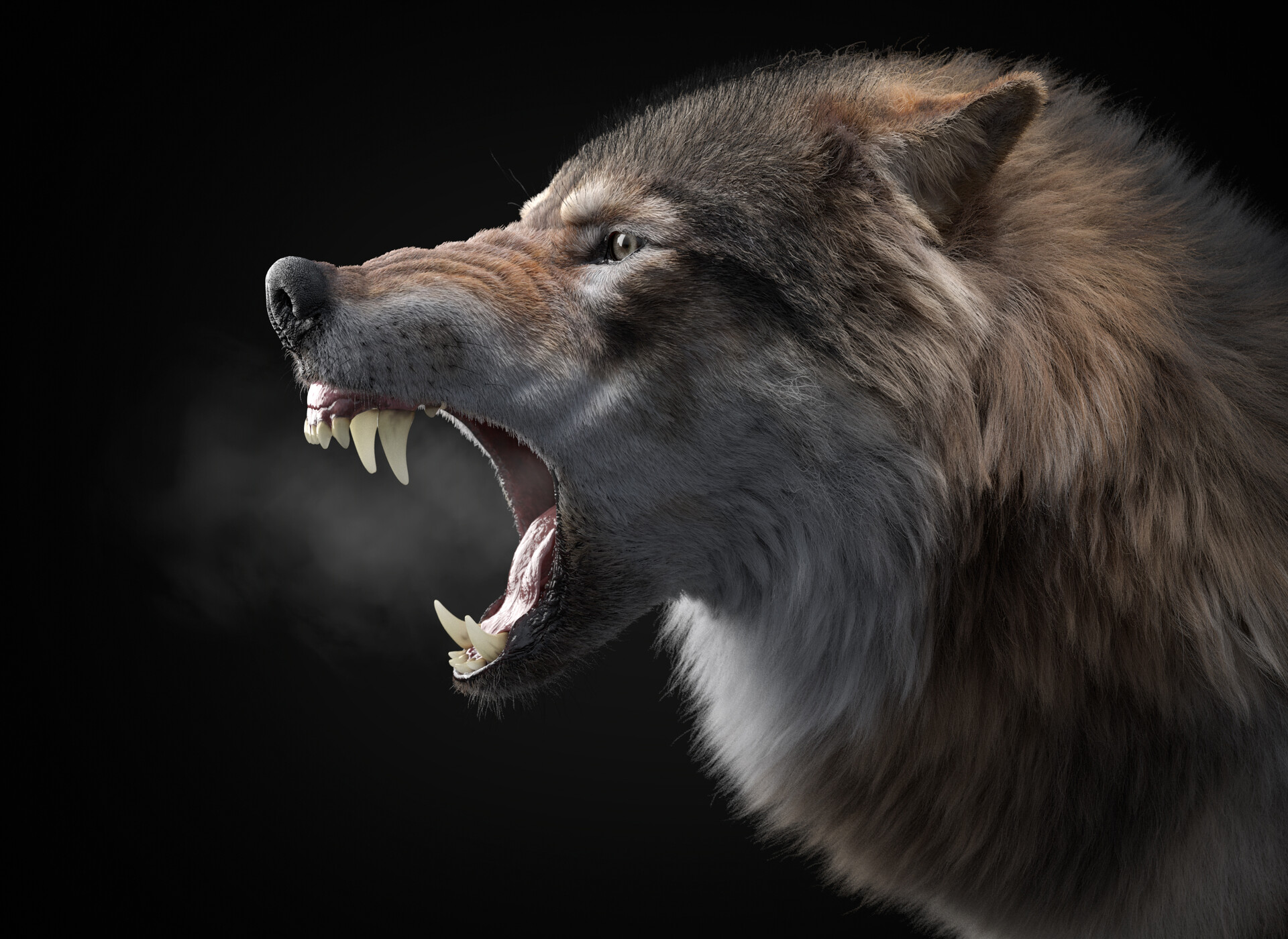 Wolf Head Profile Snarling