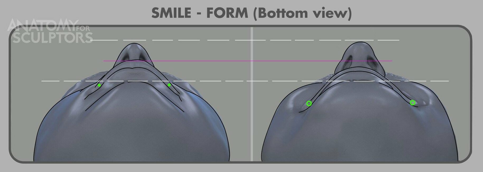 Anatomy For Sculptors - Side and bottom view of smile