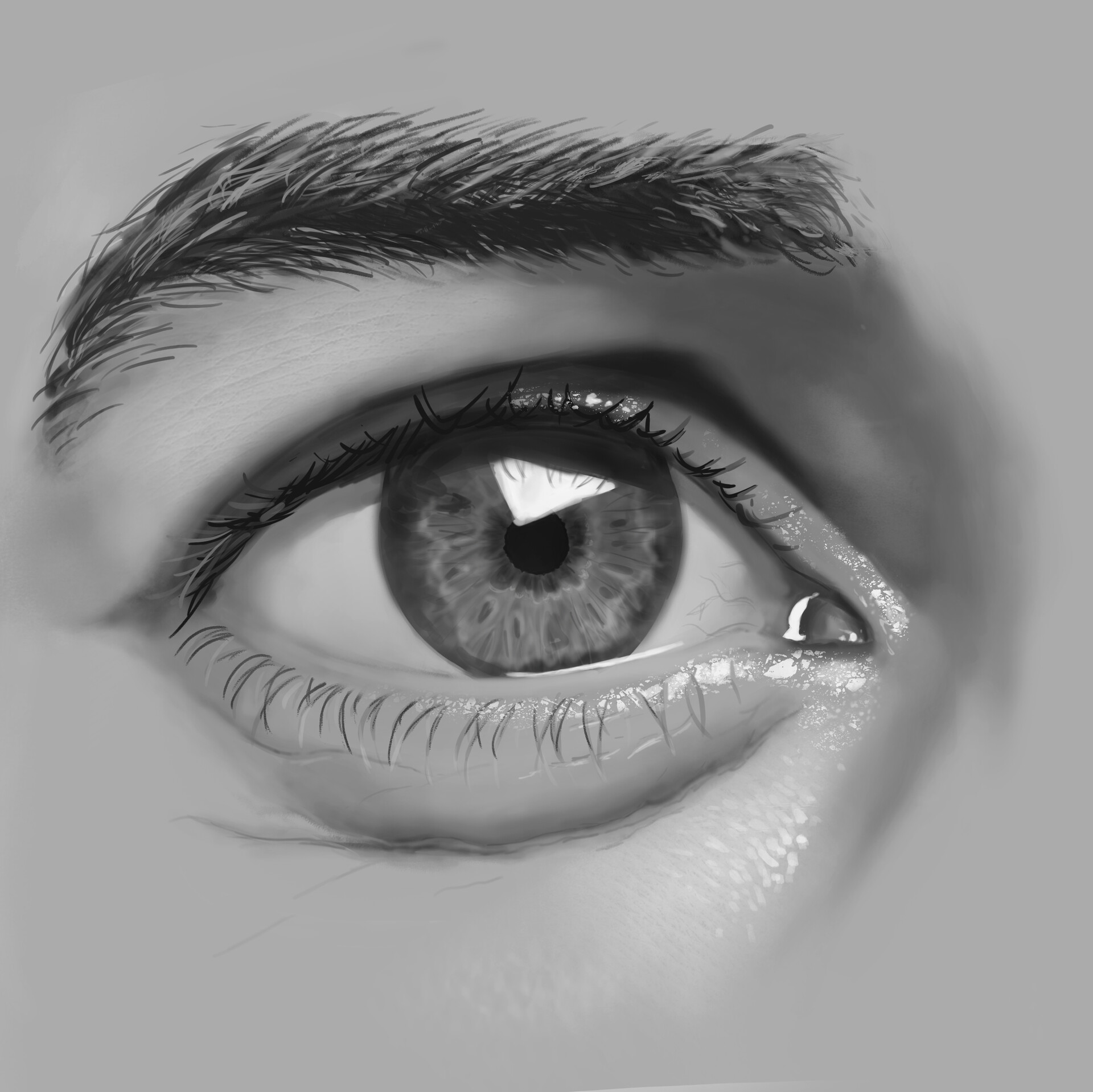 ArtStation - Human Eye