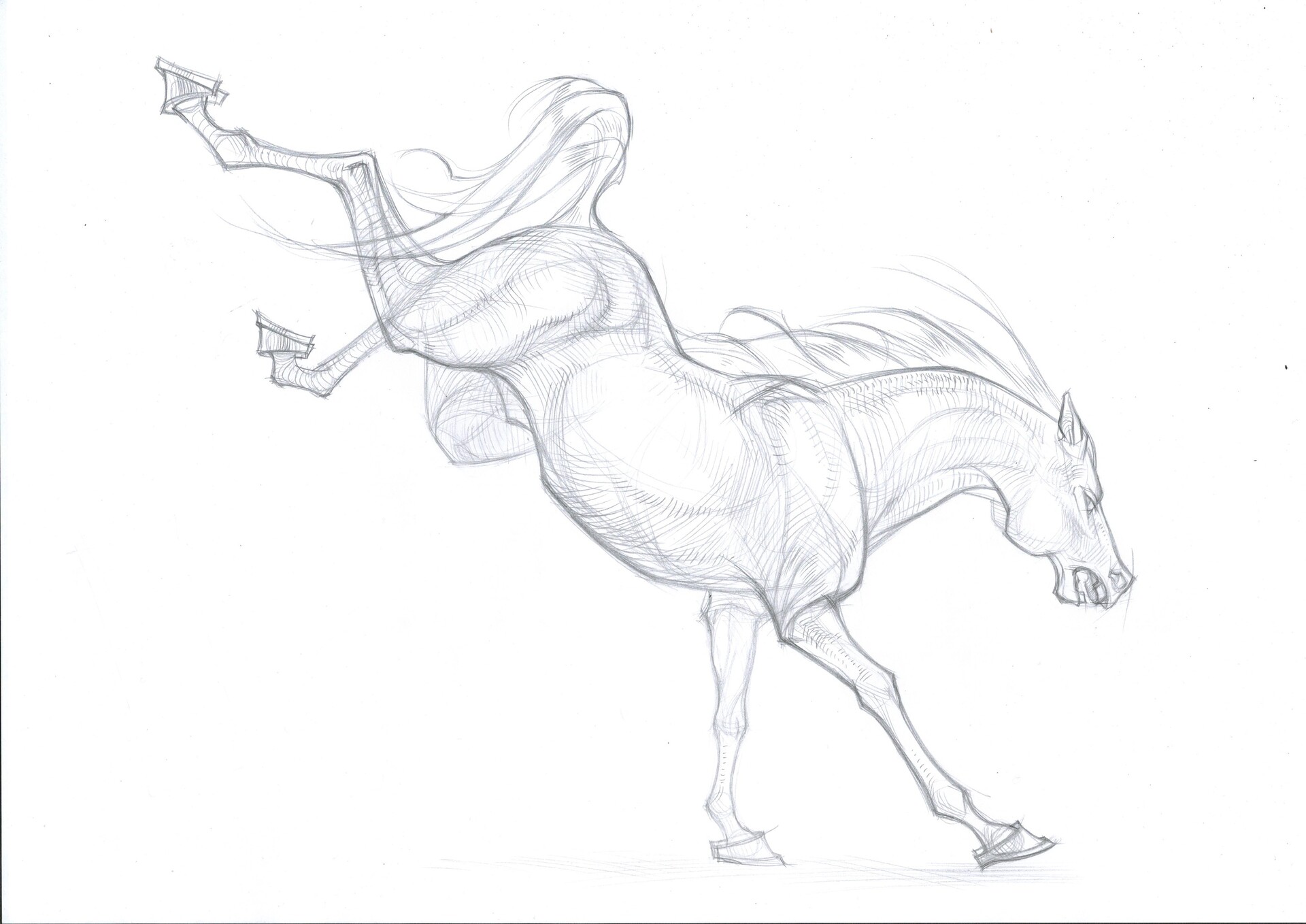 how to draw a horse kicking