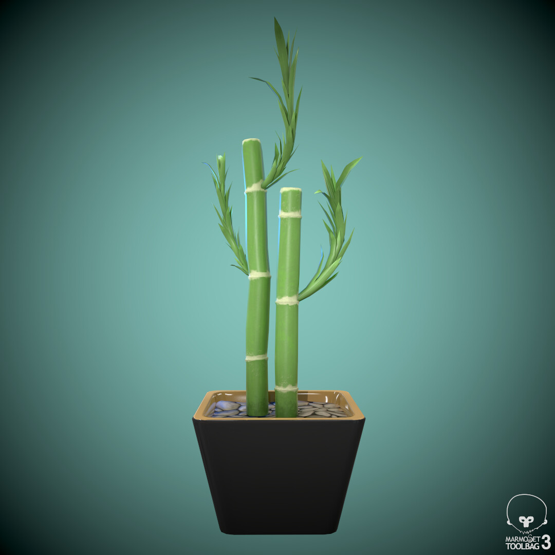 ArtStation - Stylized Potted Bamboo Plant + Time Lapse Video