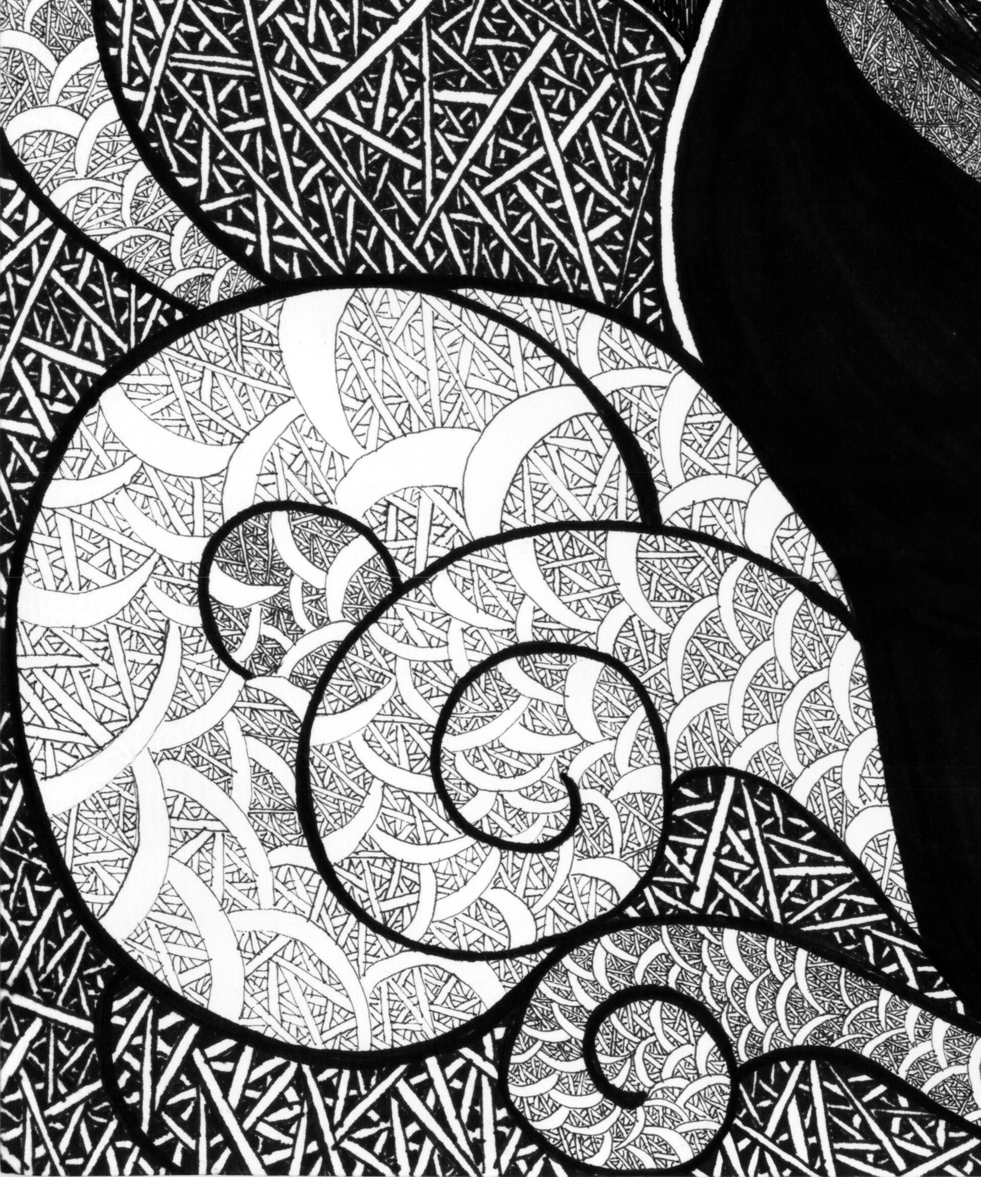 Rachel Bales - Wizard on a Pegasus