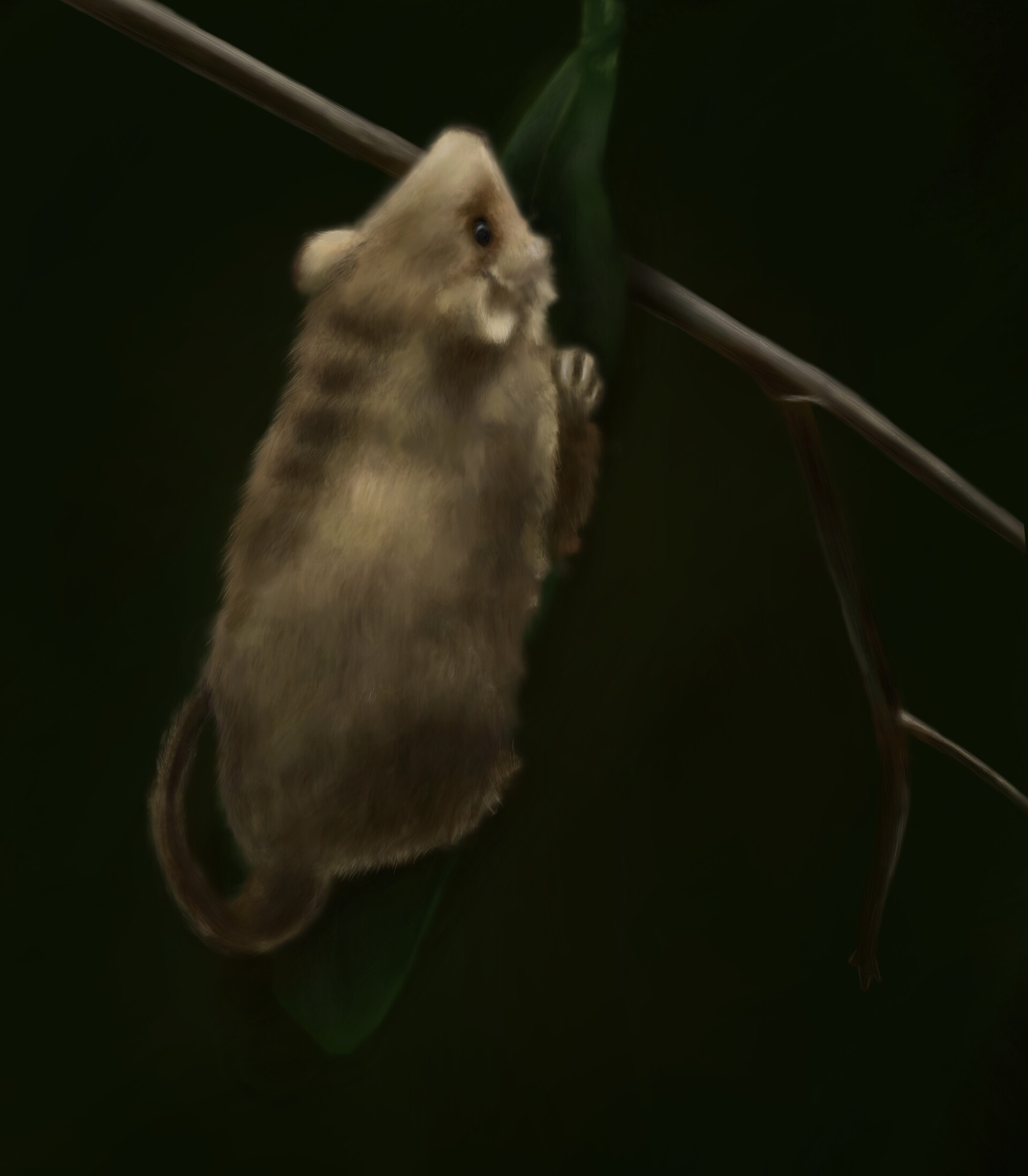 ArtStation - Mouse study