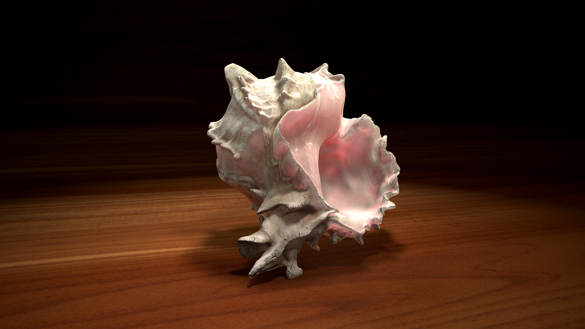 ArtStation - Conch Shell