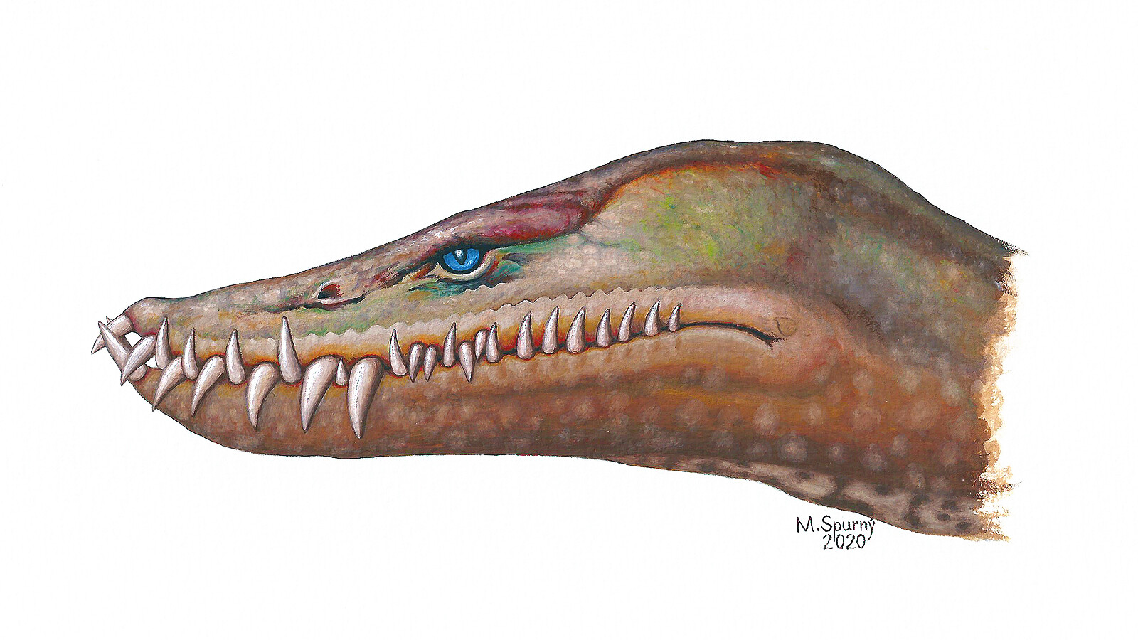 ArtStation - Styxosaurus head