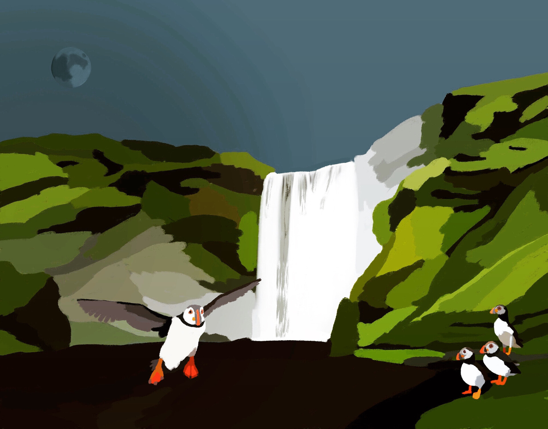 ArtStation - Puffins in Iceland