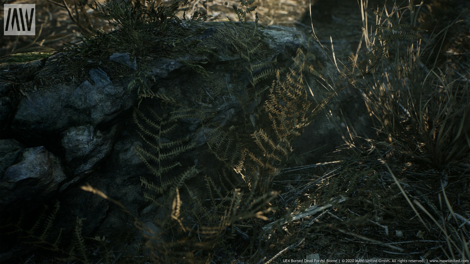 MAWI United - UE4 Burned Dead Forest Biome