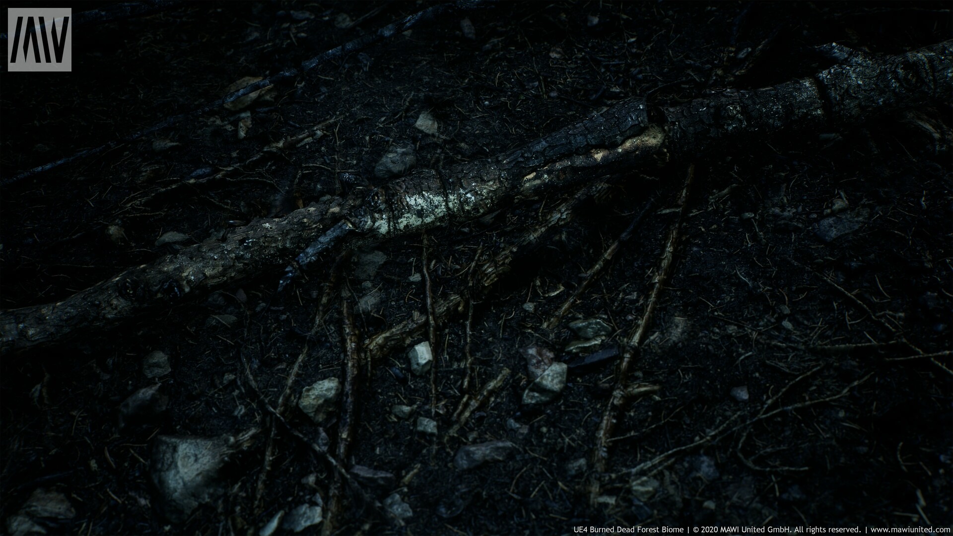 MAWI United - UE4 Burned Dead Forest Biome