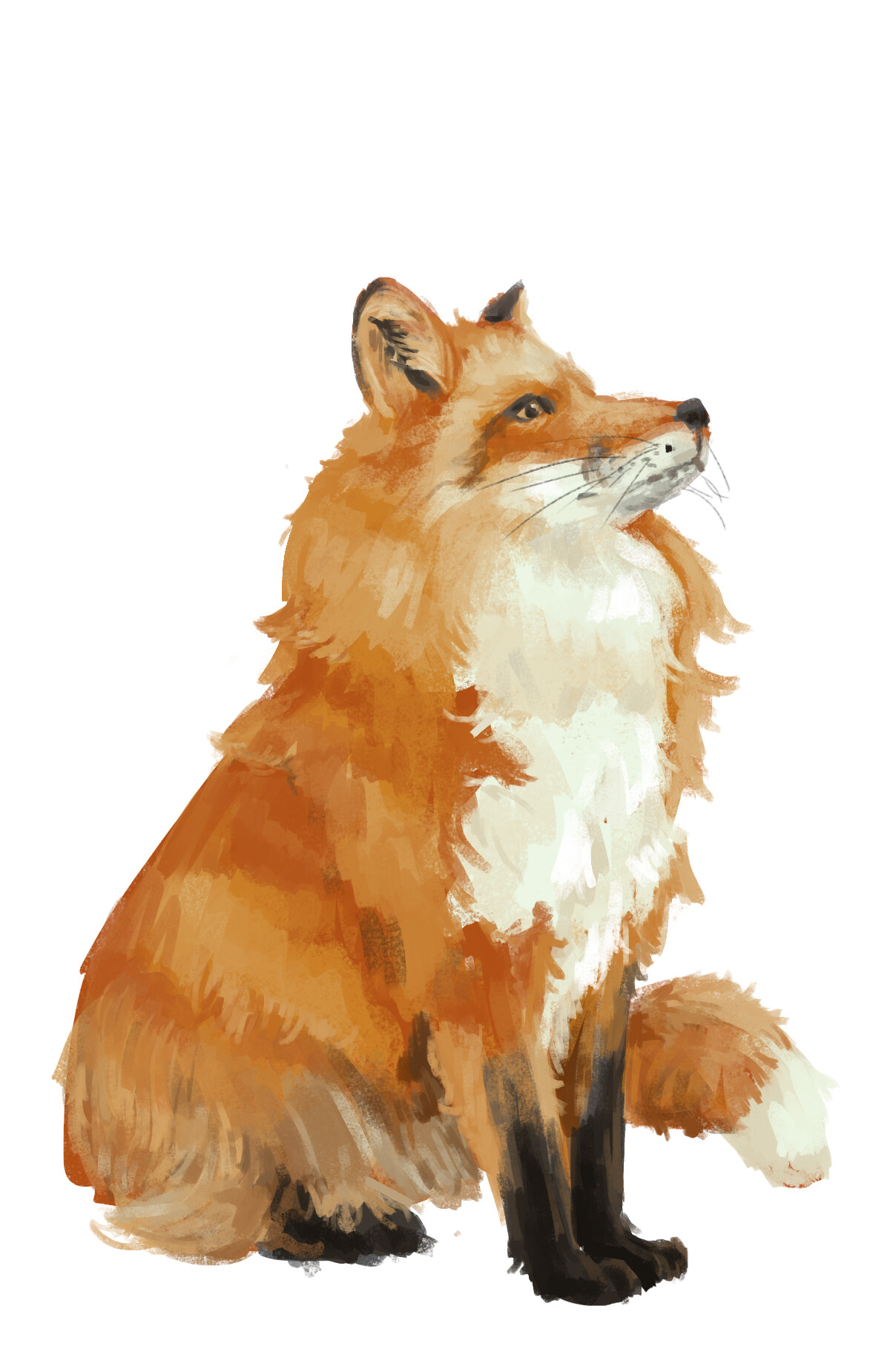 ArtStation - Fox