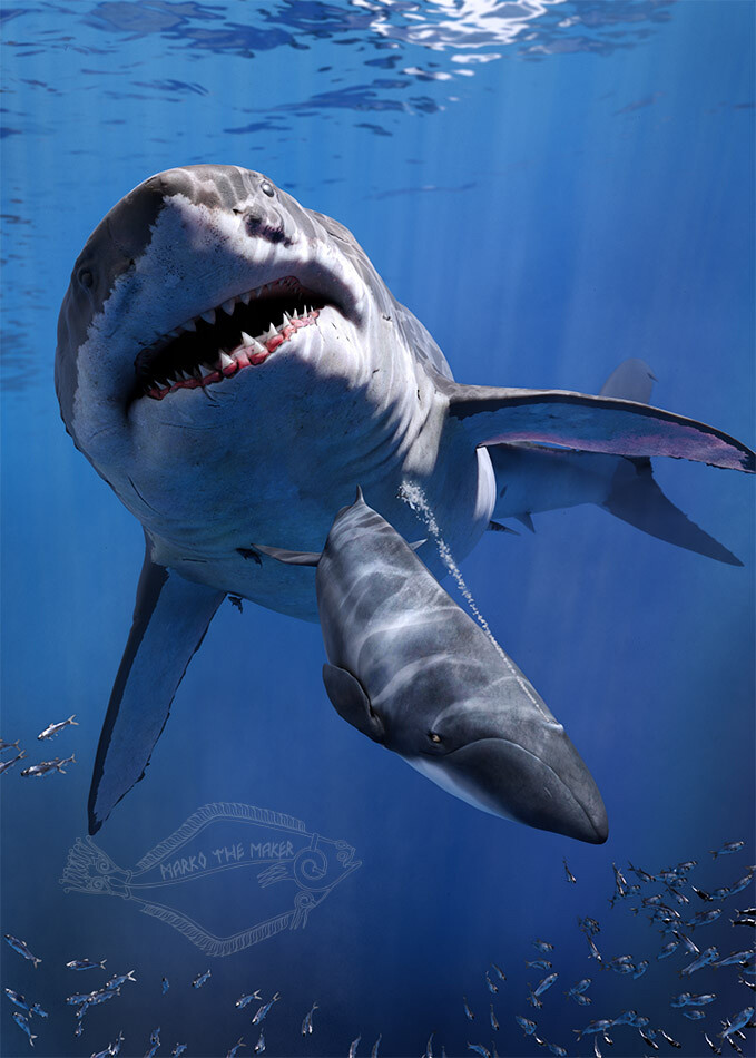 ArtStation - Megalodon hunting cetothere