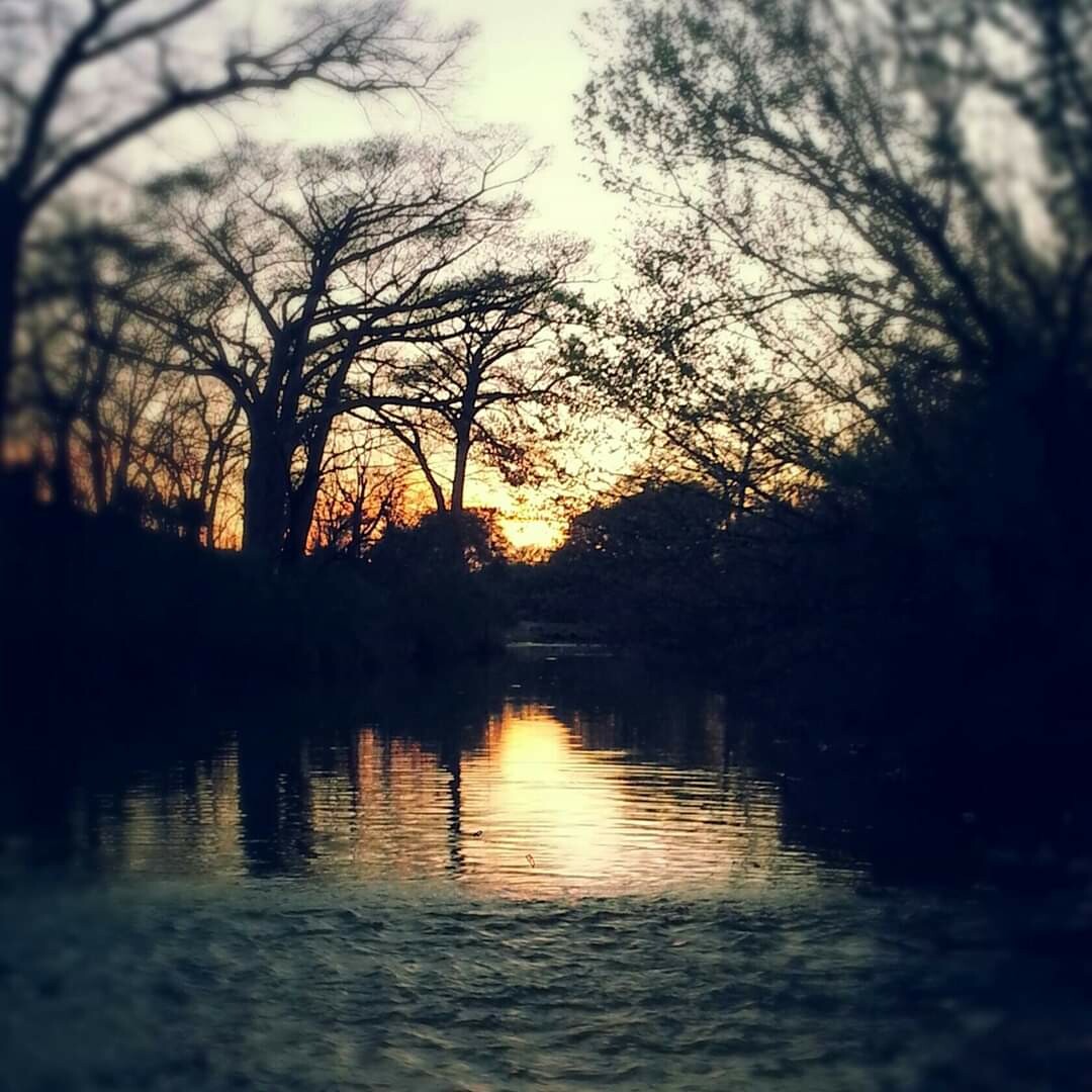 ArtStation - Sunset on River