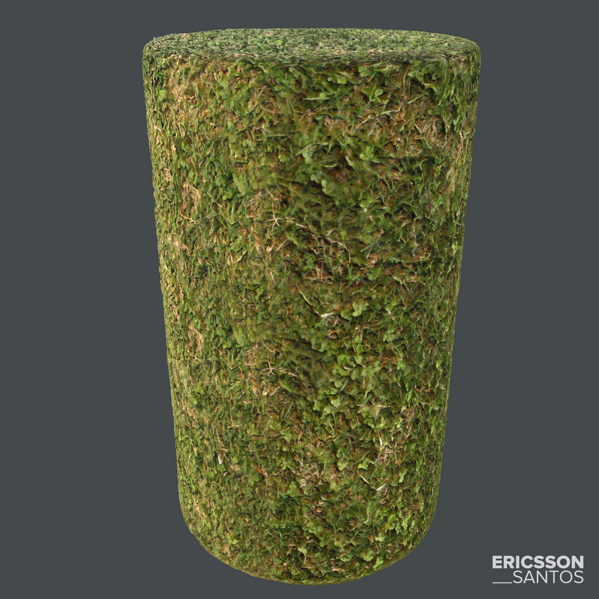 Ericsson Santos Grass Photogrammetry Based Environment Texture