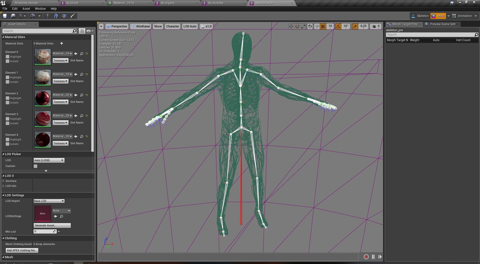 ChaseDigital_LLC - RIgged and Animated Human Anatomy on UE4