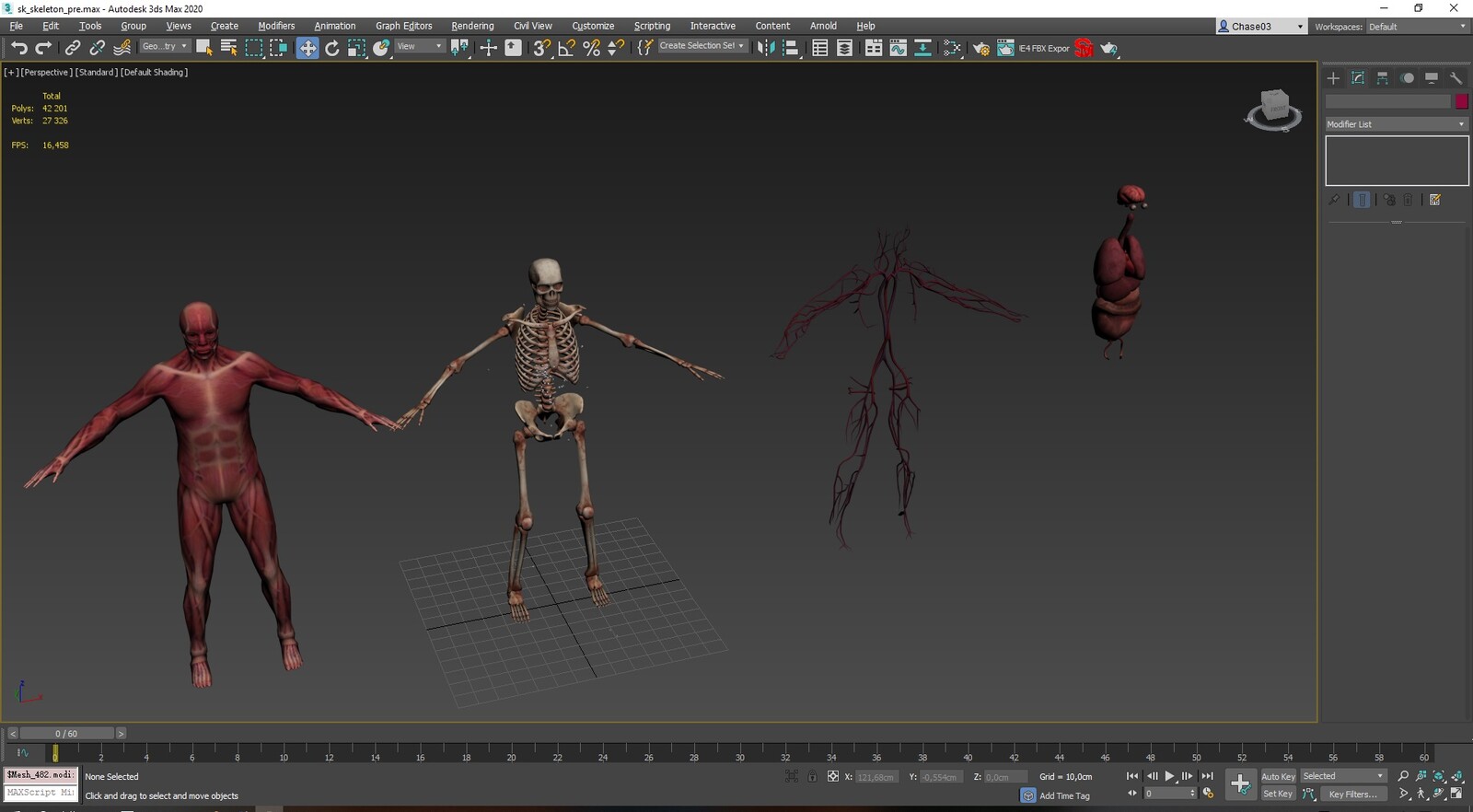 ChaseDigital_LLC - RIgged and Animated Human Anatomy on UE4