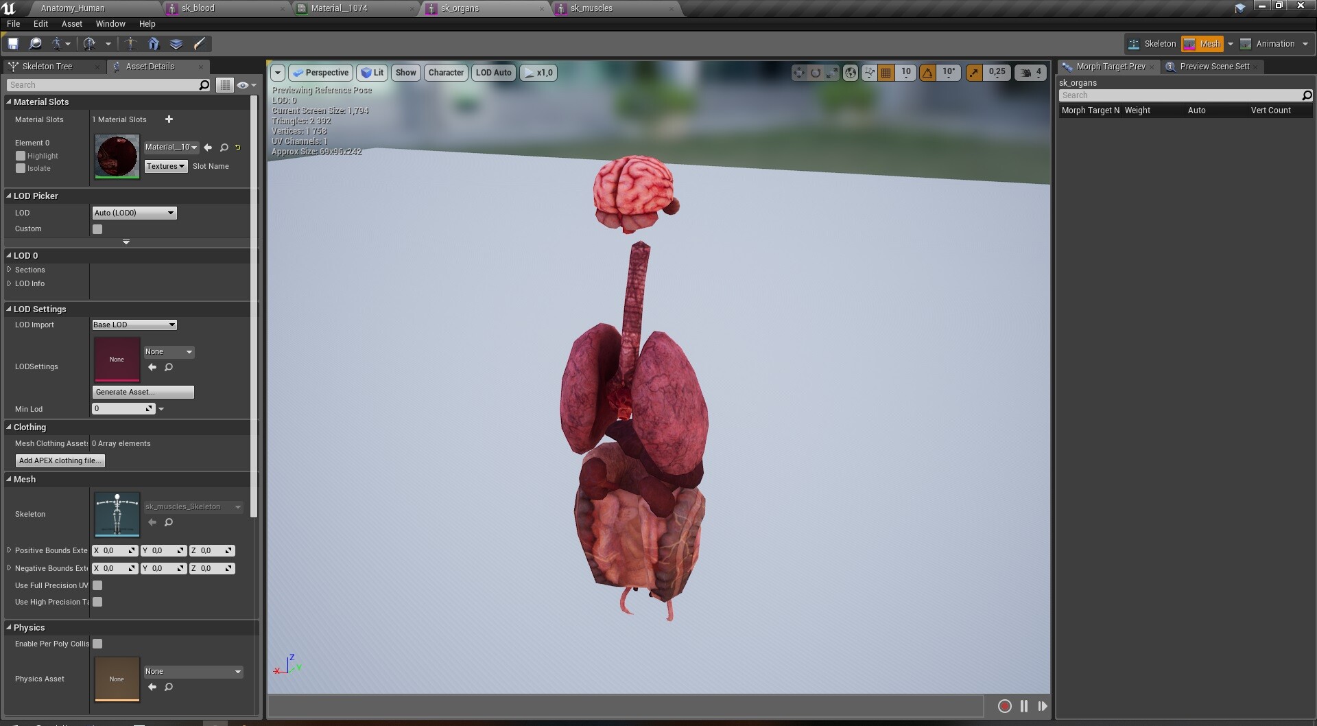 ChaseDigital_LLC - RIgged and Animated Human Anatomy on UE4
