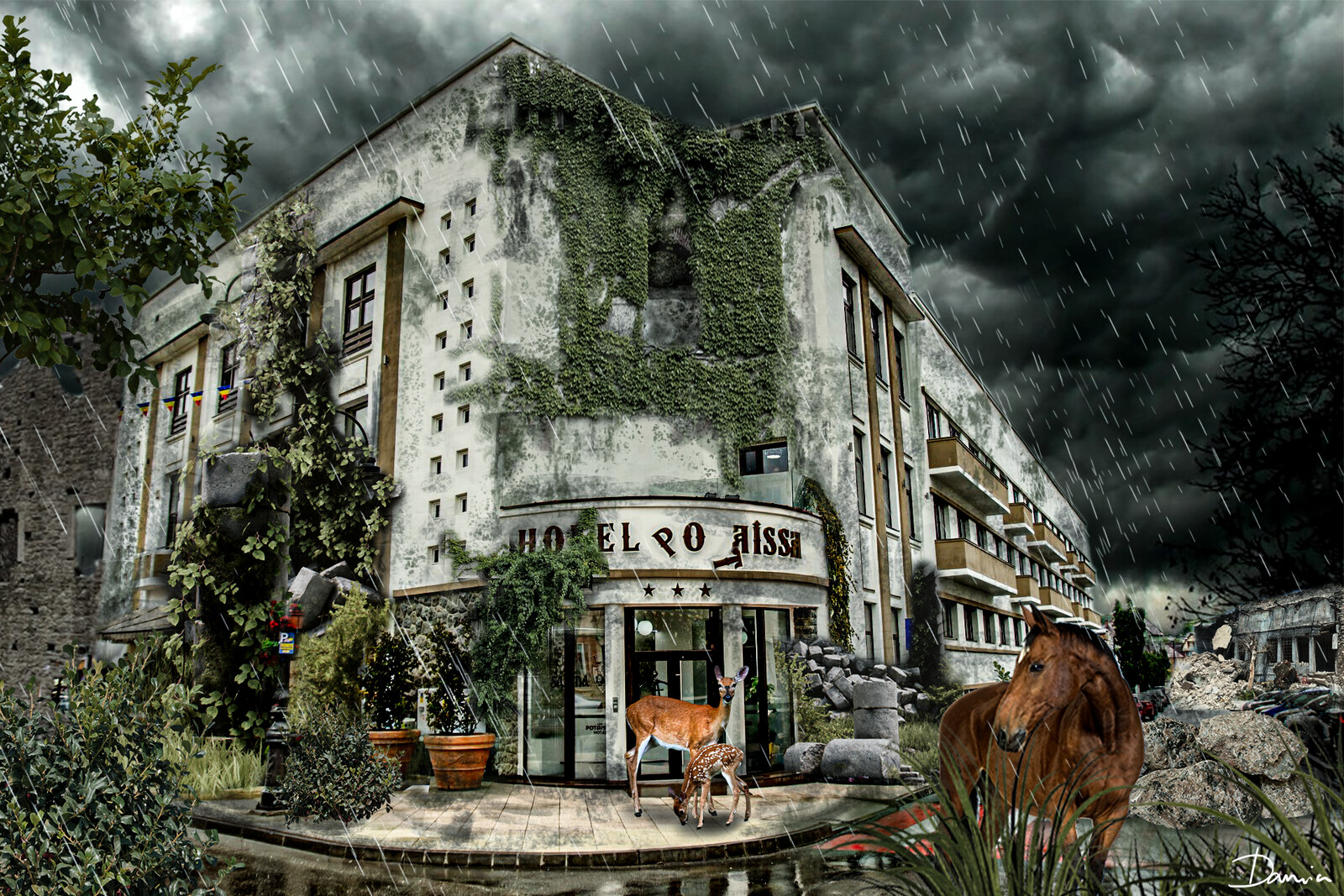 Daria Rusu - quarantine vibes