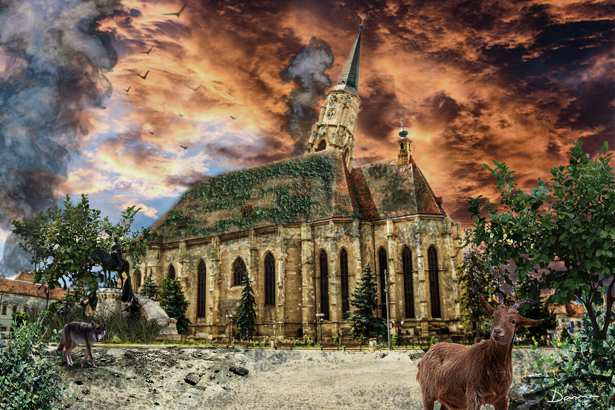 Daria Rusu - quarantine vibes