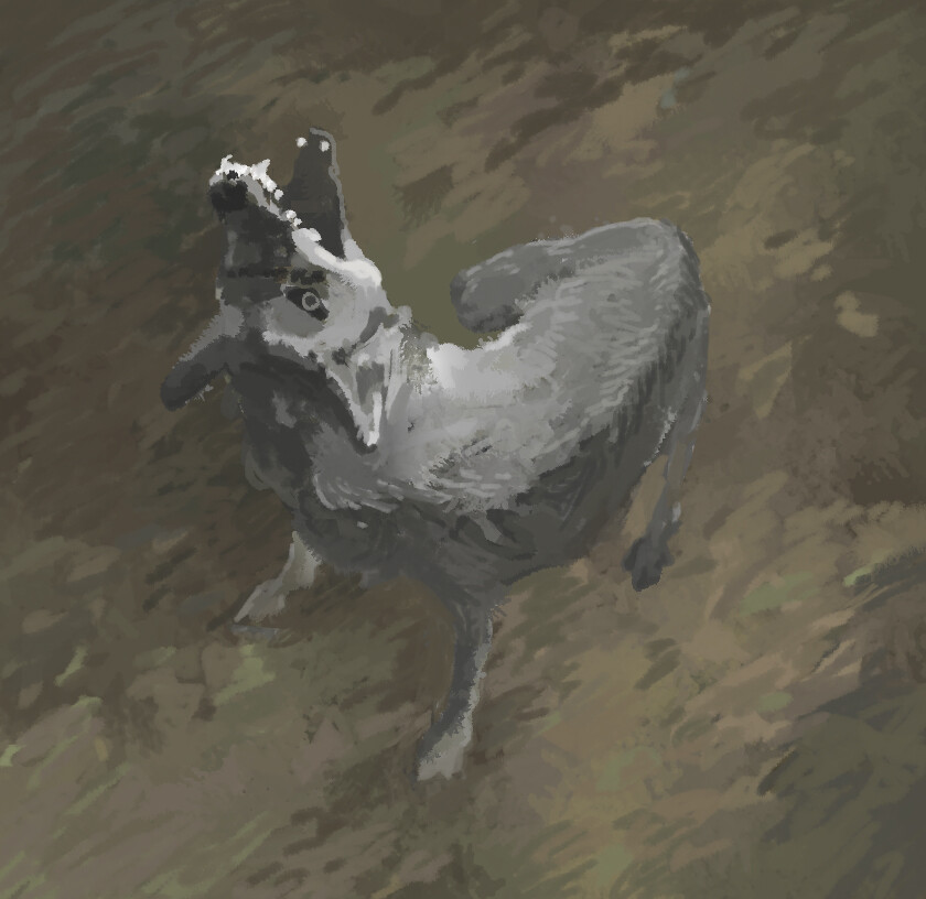 ArtStation - Angry doggo