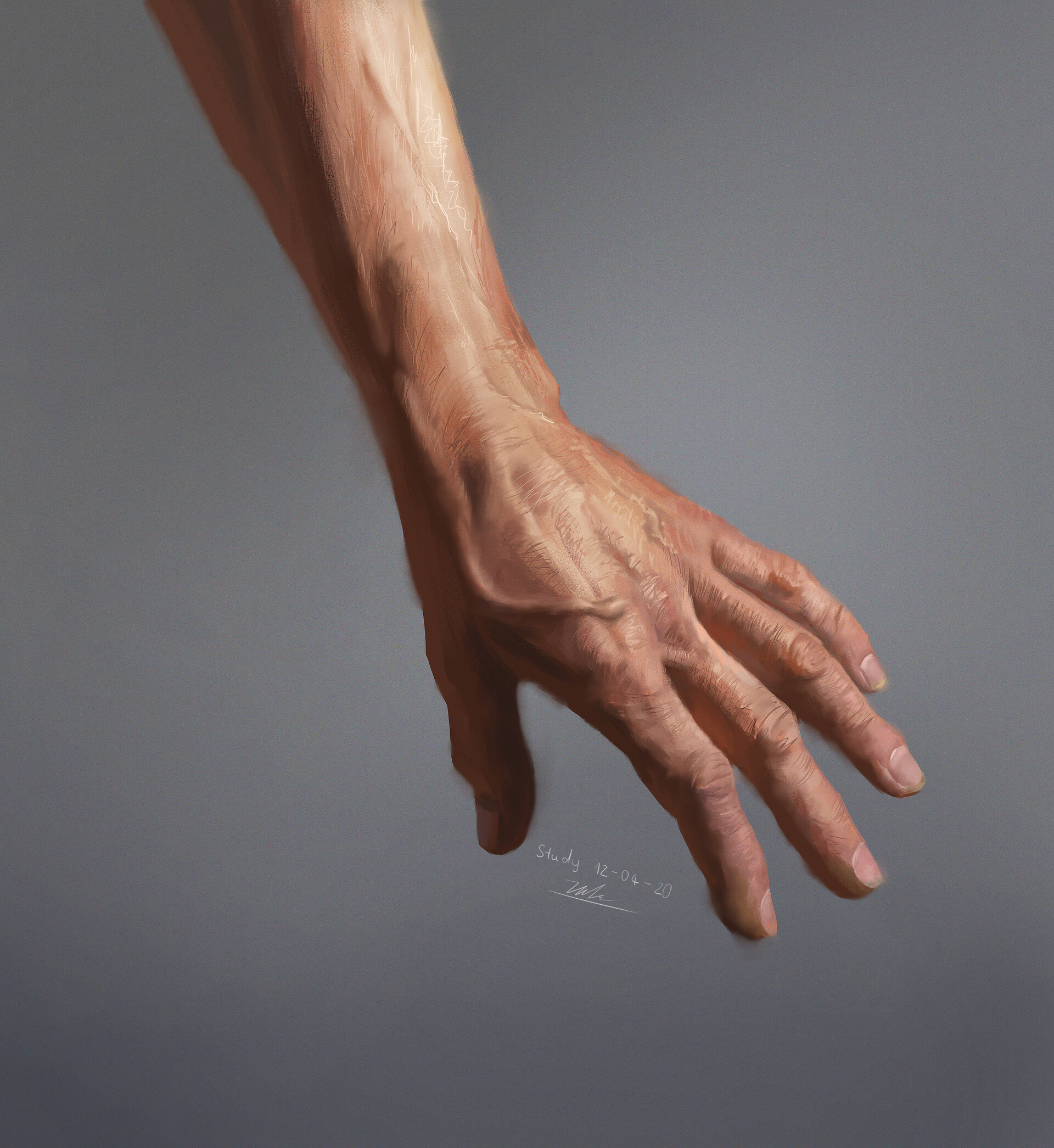 ArtStation - Hand study