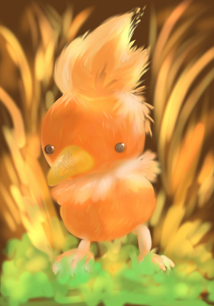 pokemon torchic