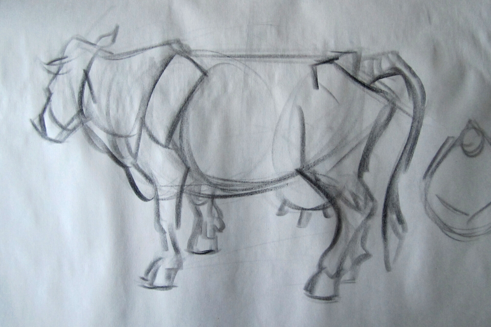 ArtStation - Life Drawing - Farm Animals