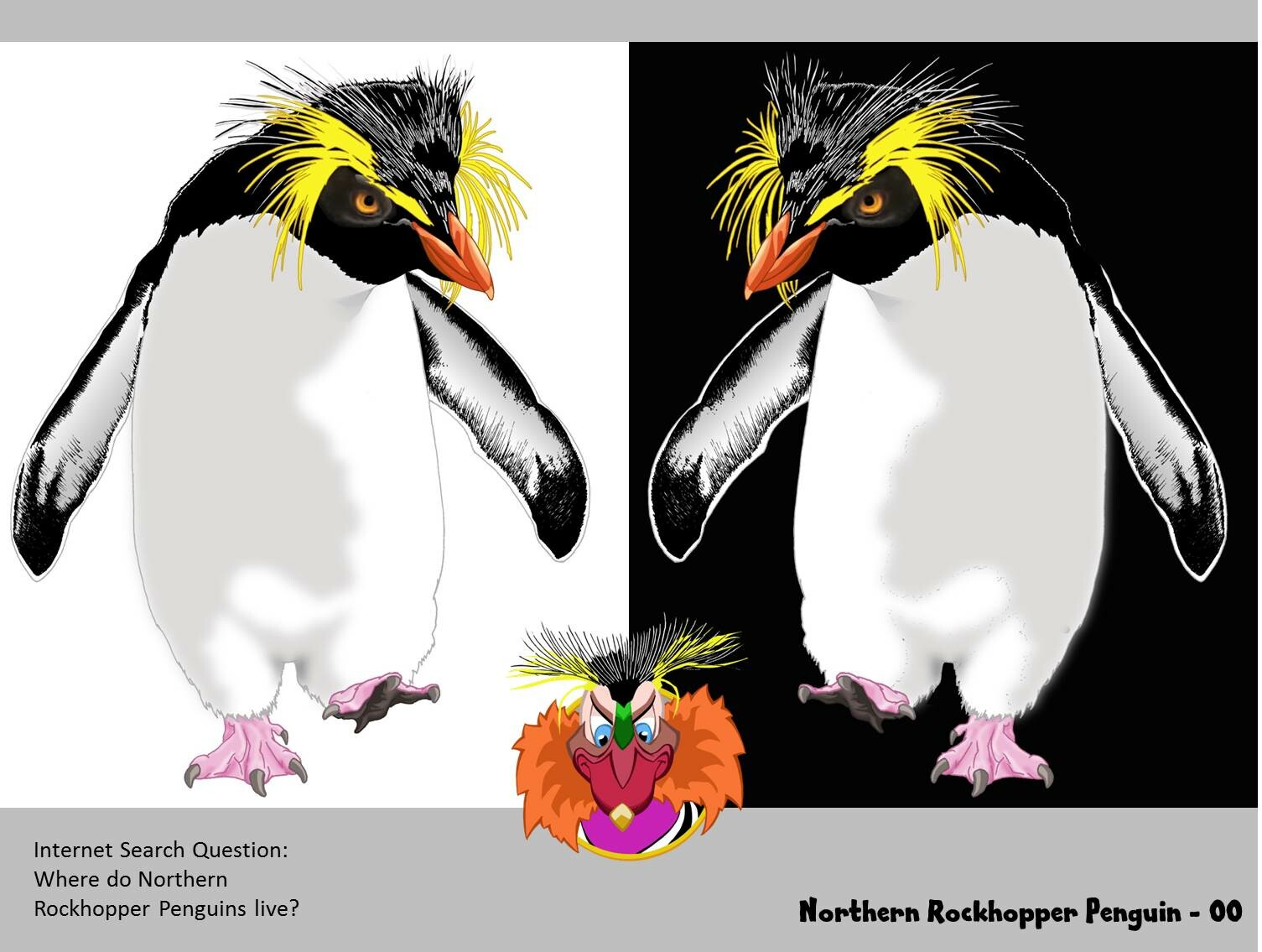ArtStation - Northern Rockhopper Penguin