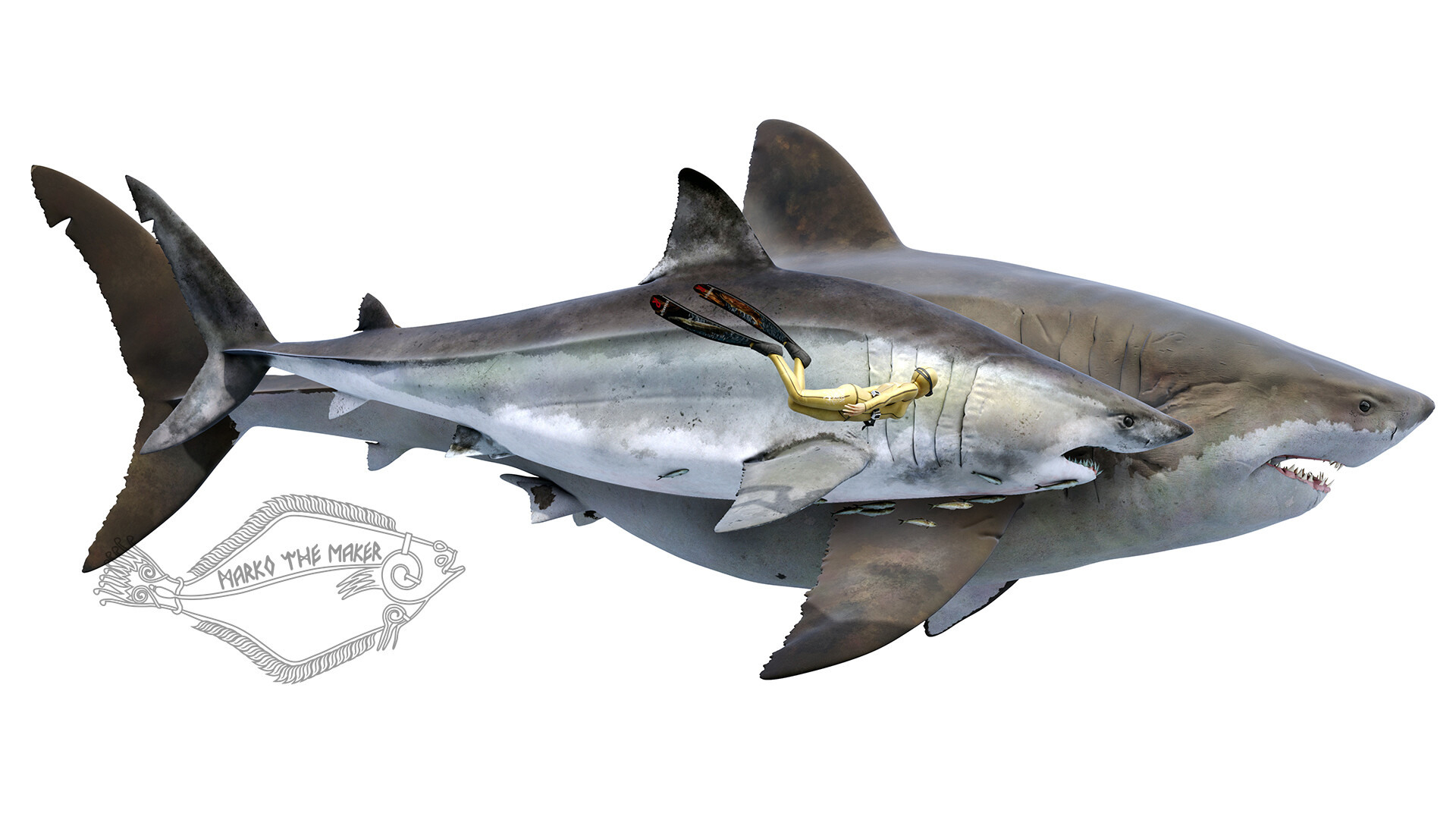 ArtStation - Otodus obliquus and Otodus megalodon