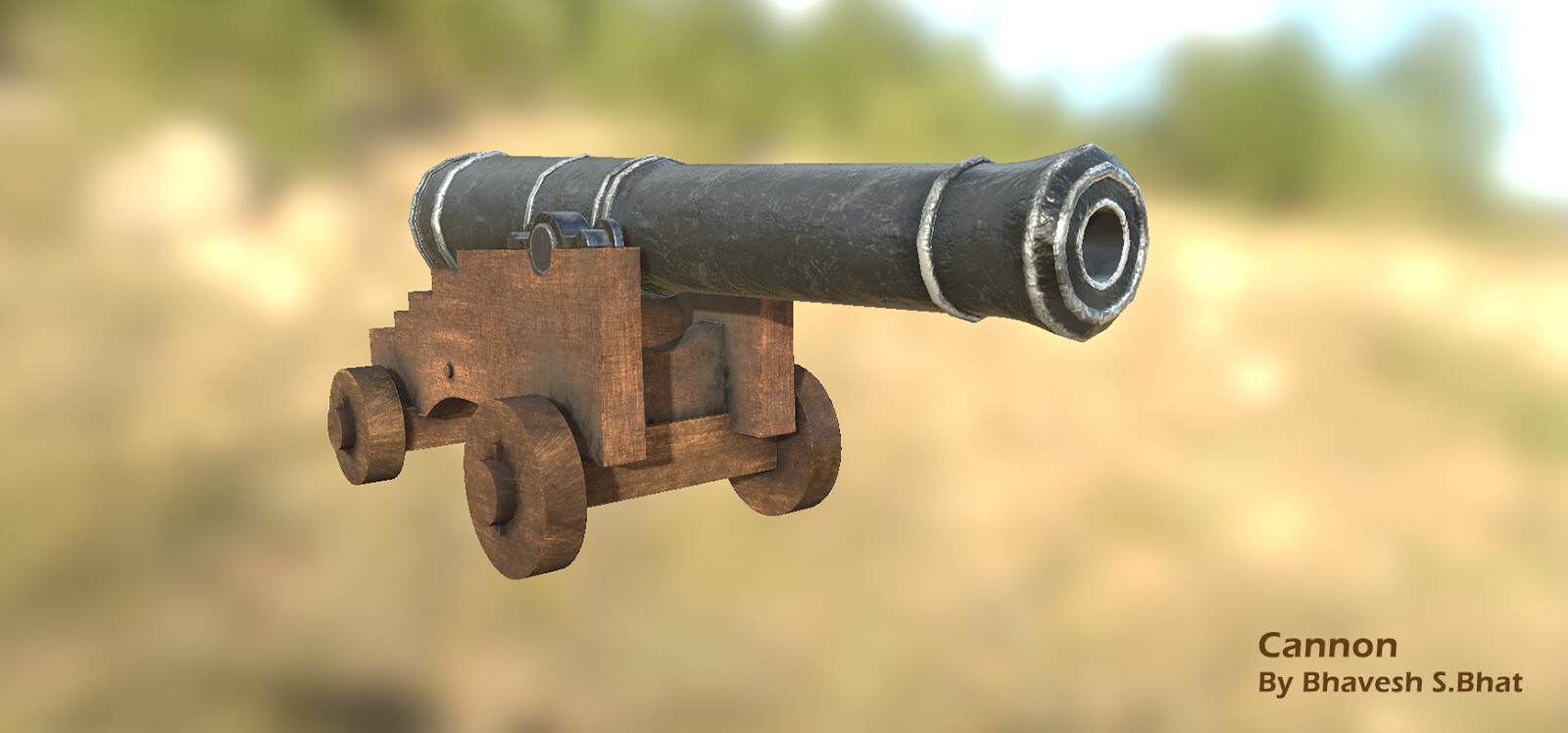 Canon Weapon
