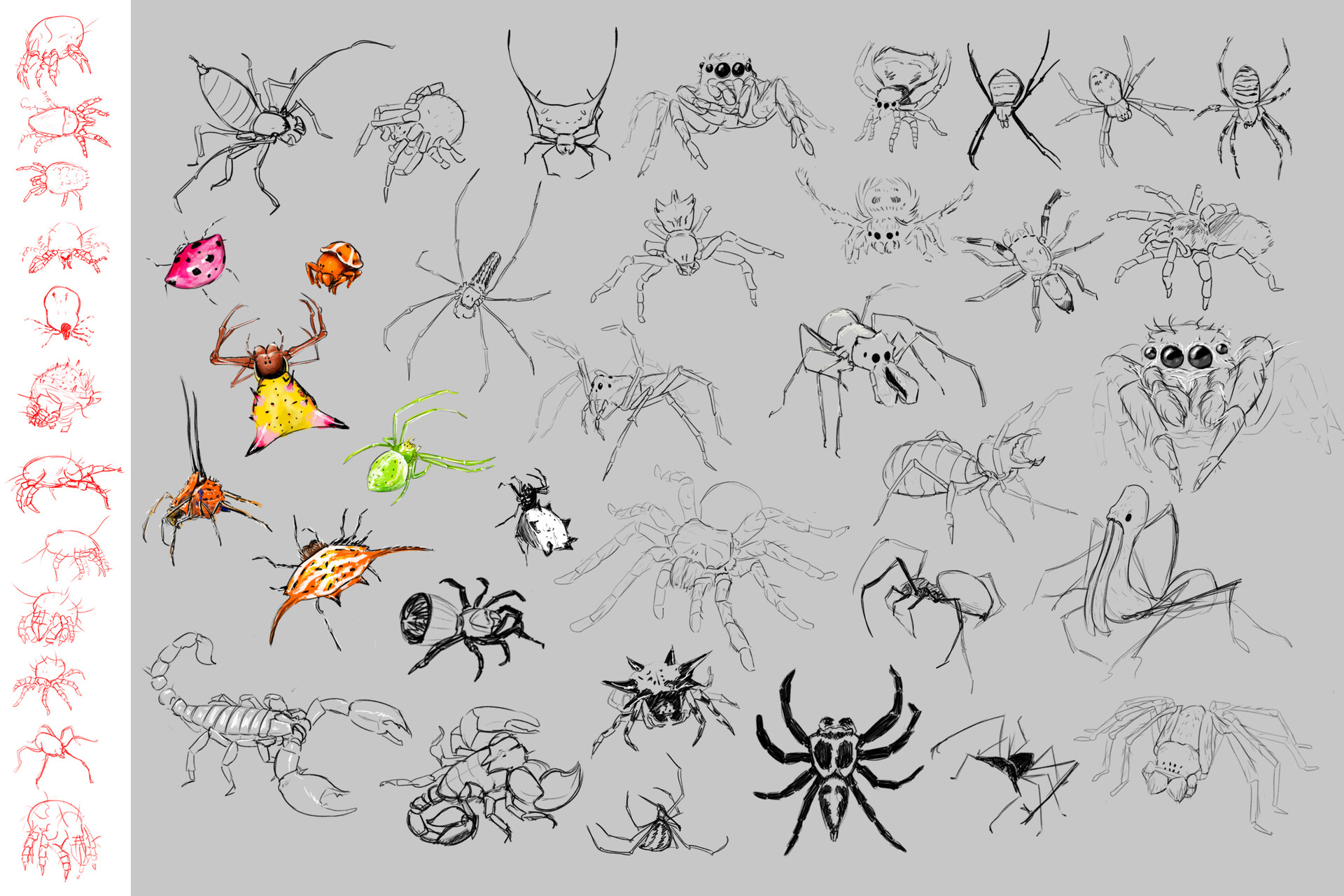 ArtStation - Etude arthropodes