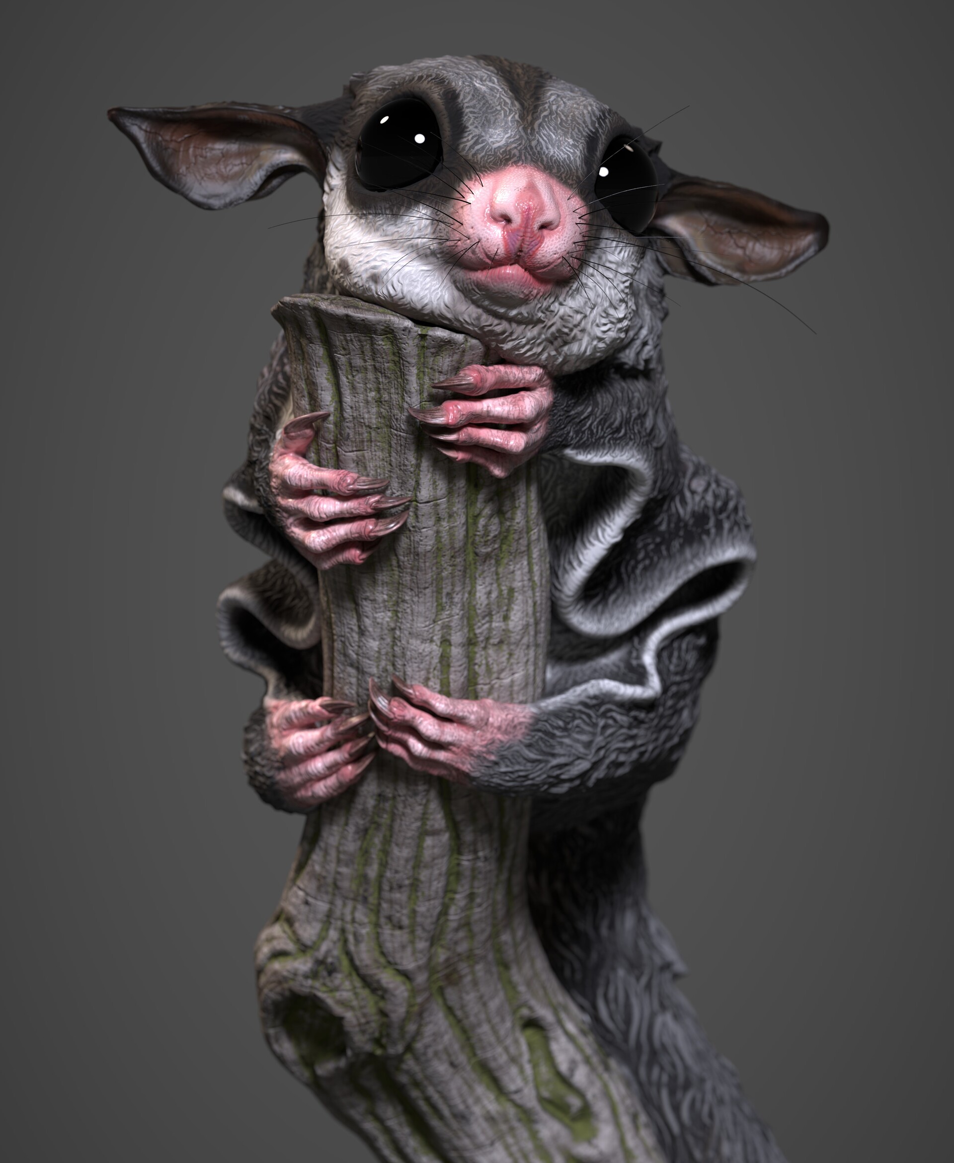 ArtStation - Petaurus breviceps