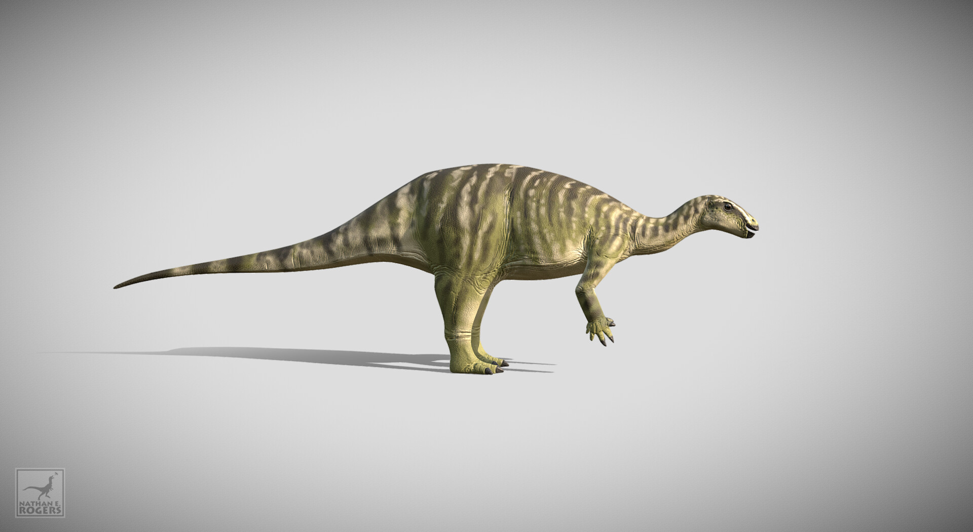 Nathan Rogers - Camptosaurus 3D Model