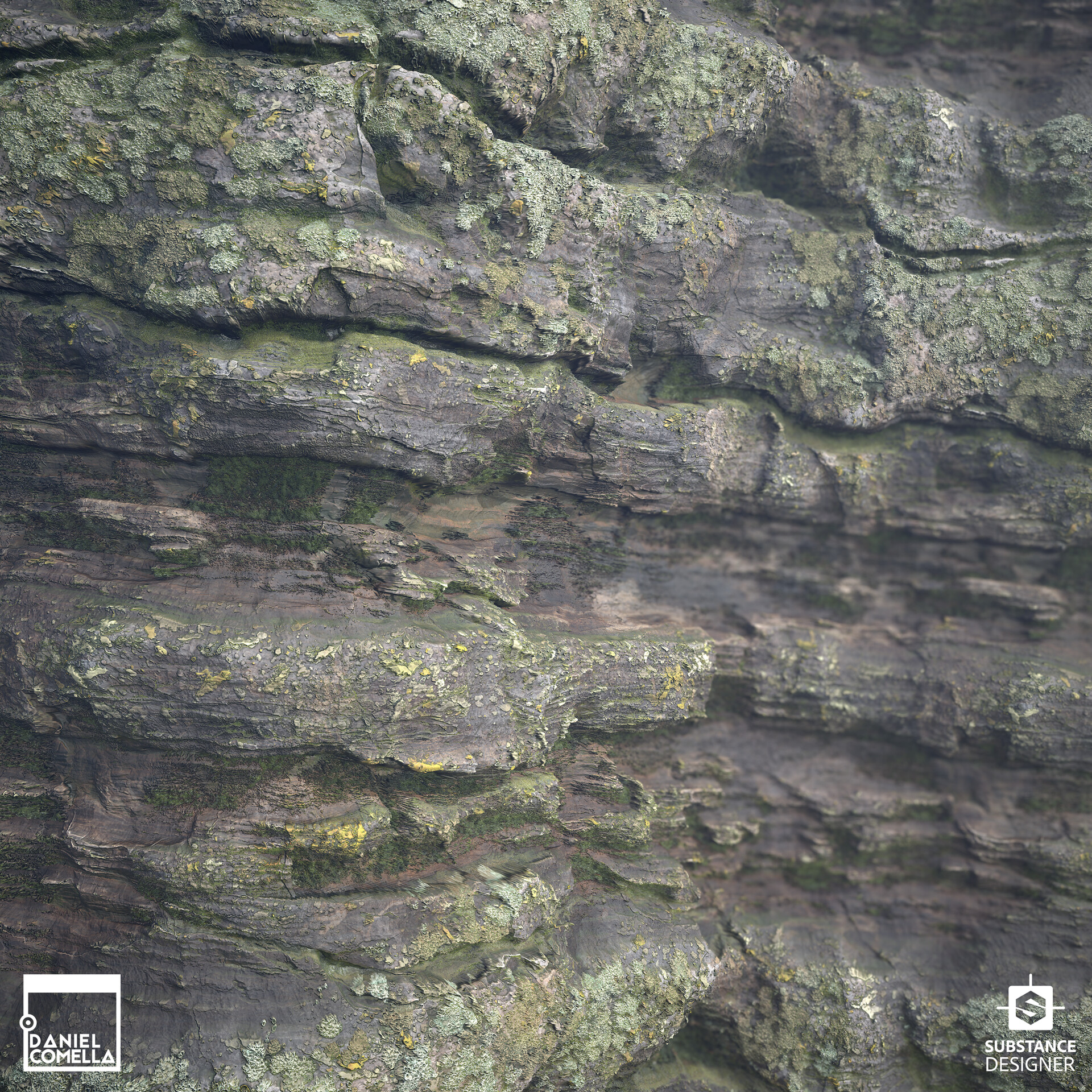 Daniel Comella Portfolio - Layered Lichen Cliff